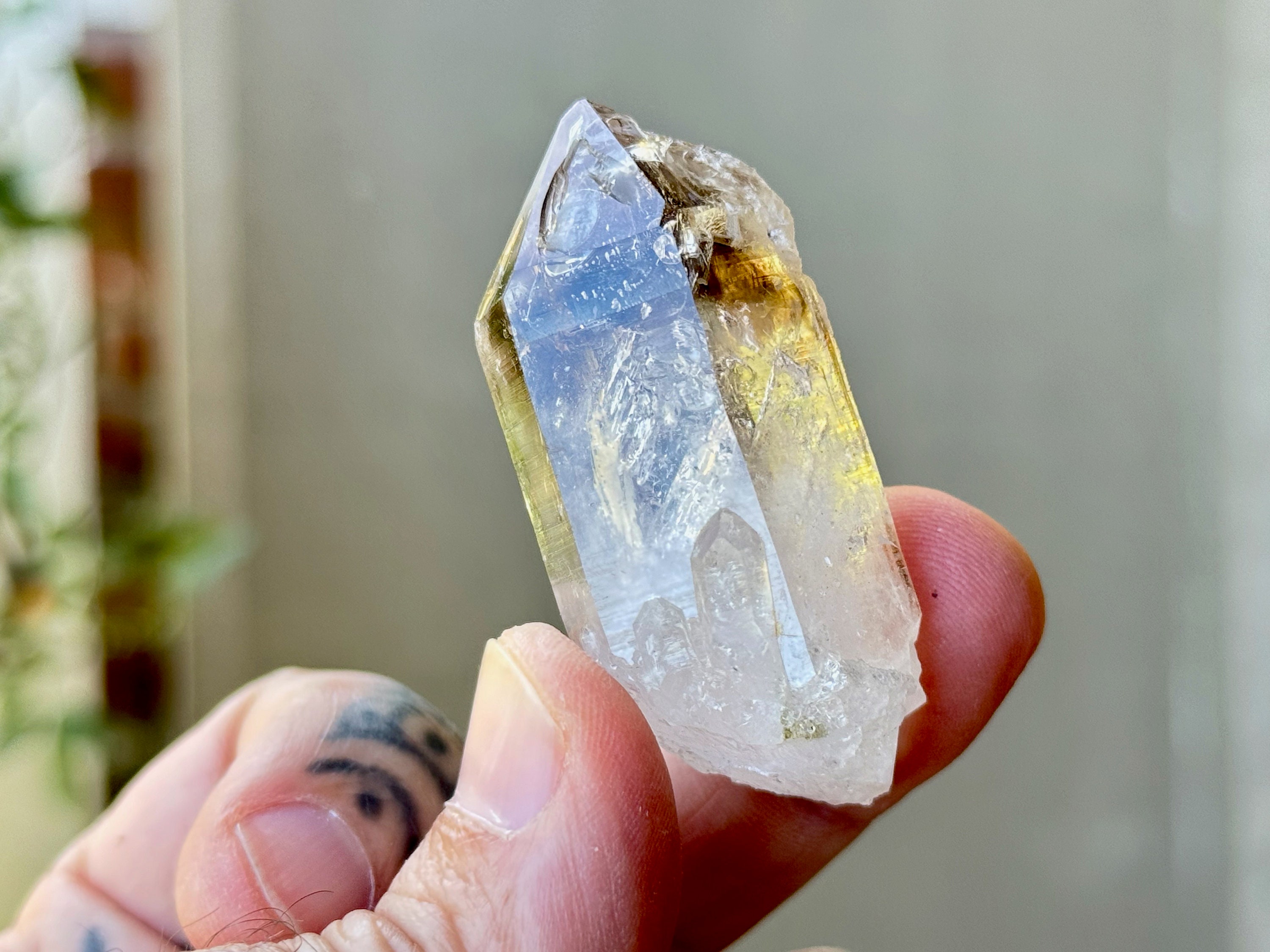 Smoky Enhydro Quartz with Multiple Active Enhydros from The Goboboseb ...