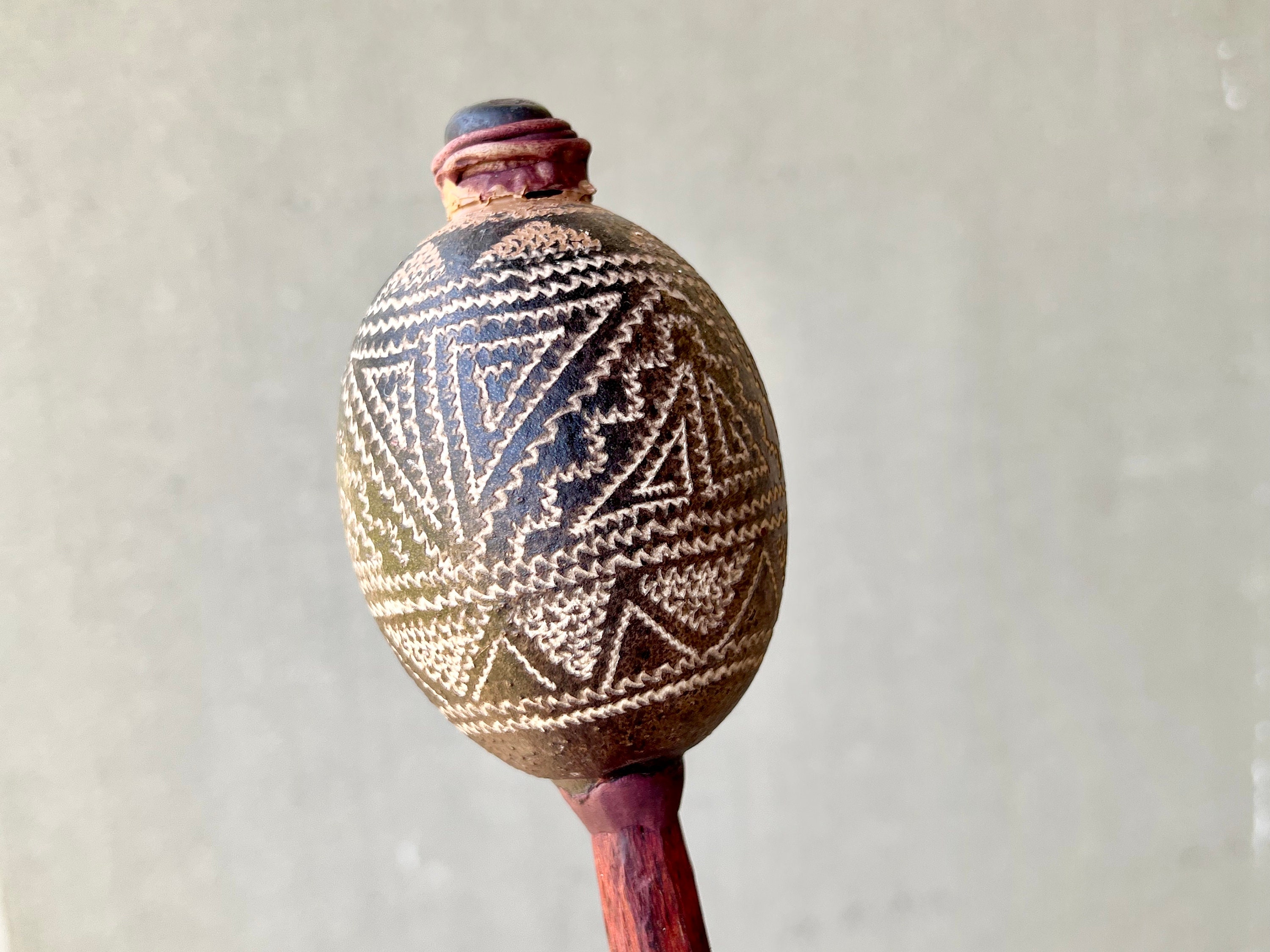 Shaman Gourd Rattle with Ayahuasca Vine, Traditional Shipibo Shaker ...