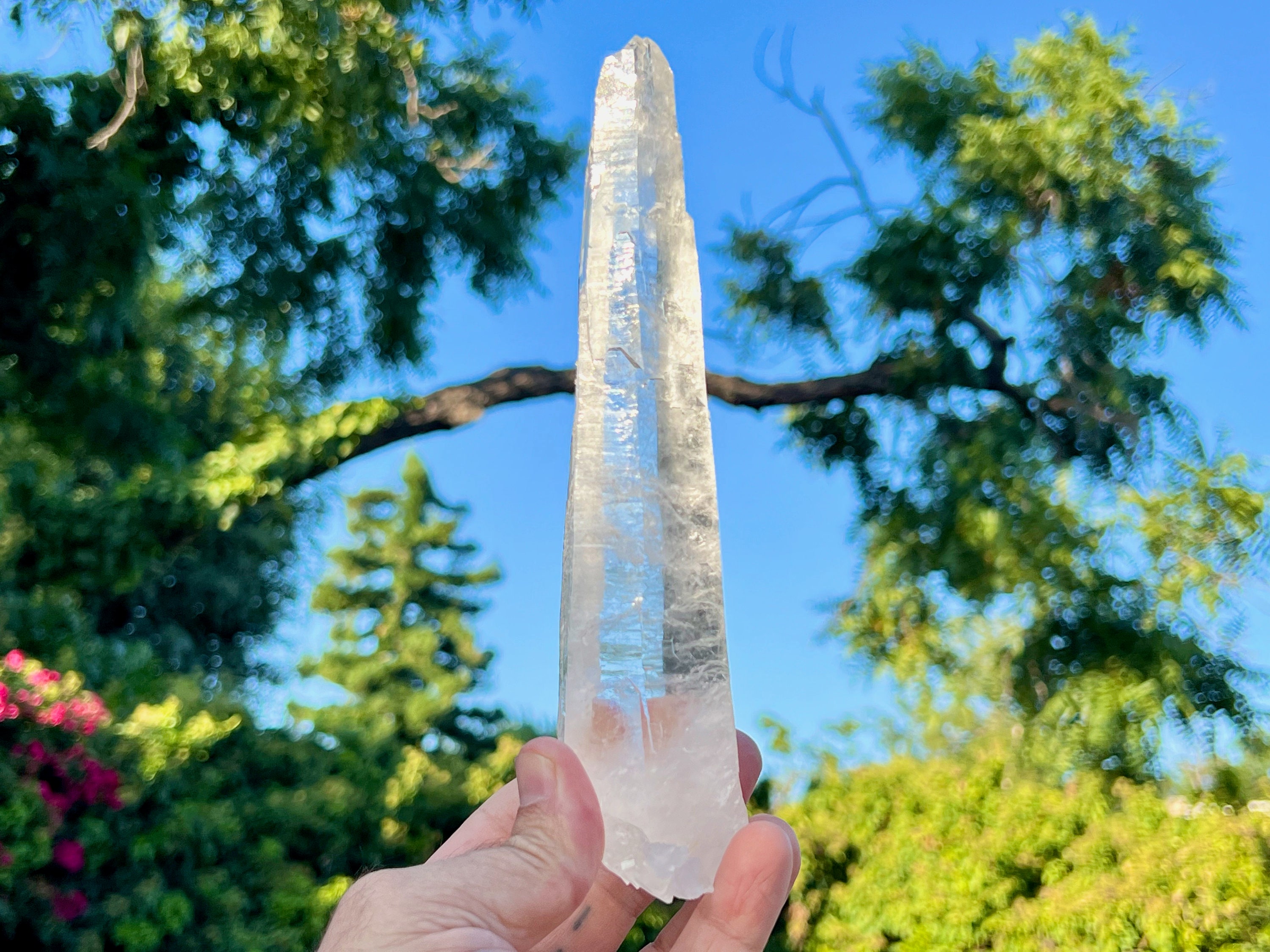 Diamantina Laser Quartz with Beautiful Clarity, 8 Natural DT Quartz ...