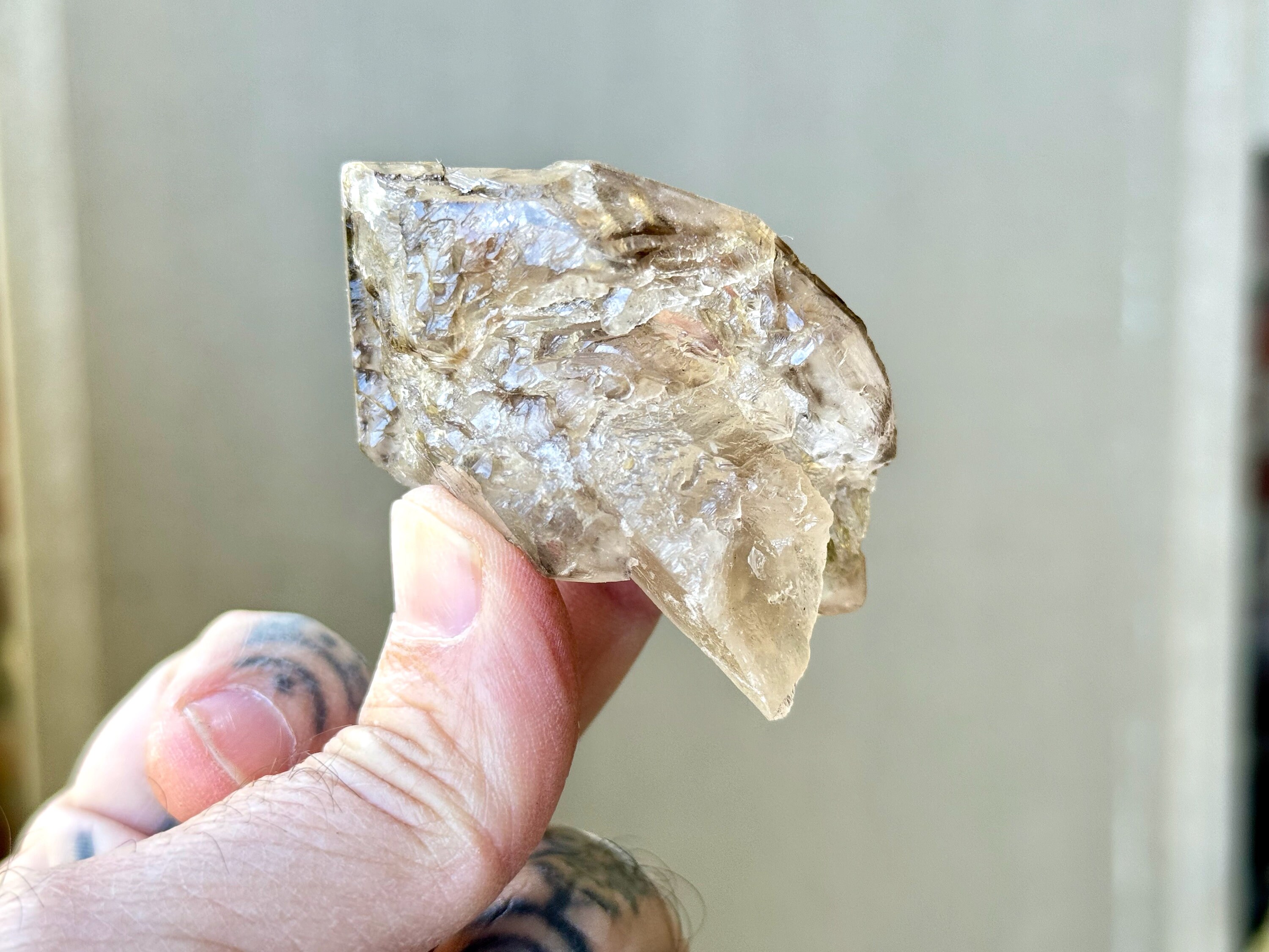 Elestial Smoky Quartz in a Perfect Scepter Formation, New Find, Root ...