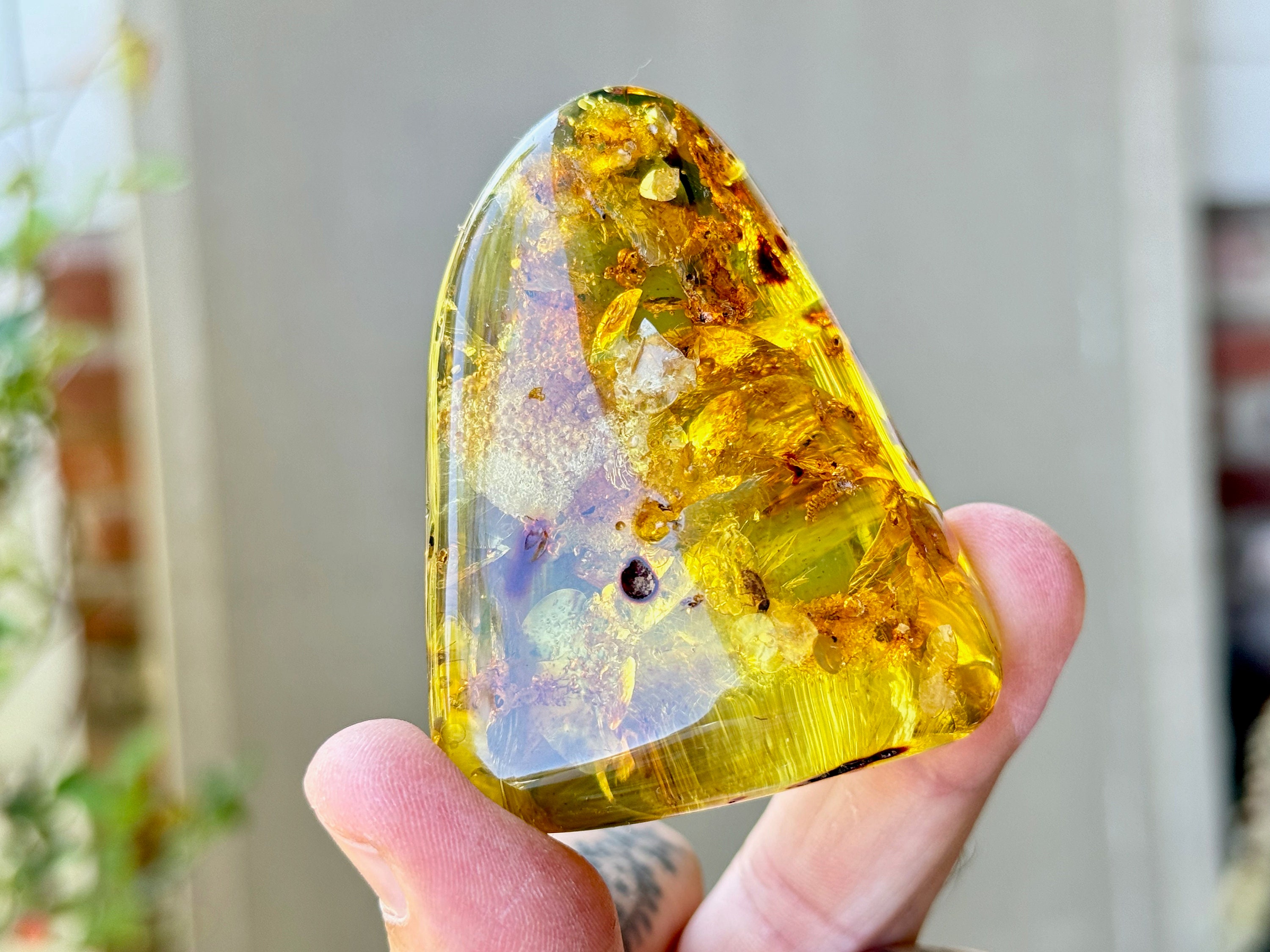 Colombian Amber Copal Crystal with Mild Green Hue, Fossilized Insects ...