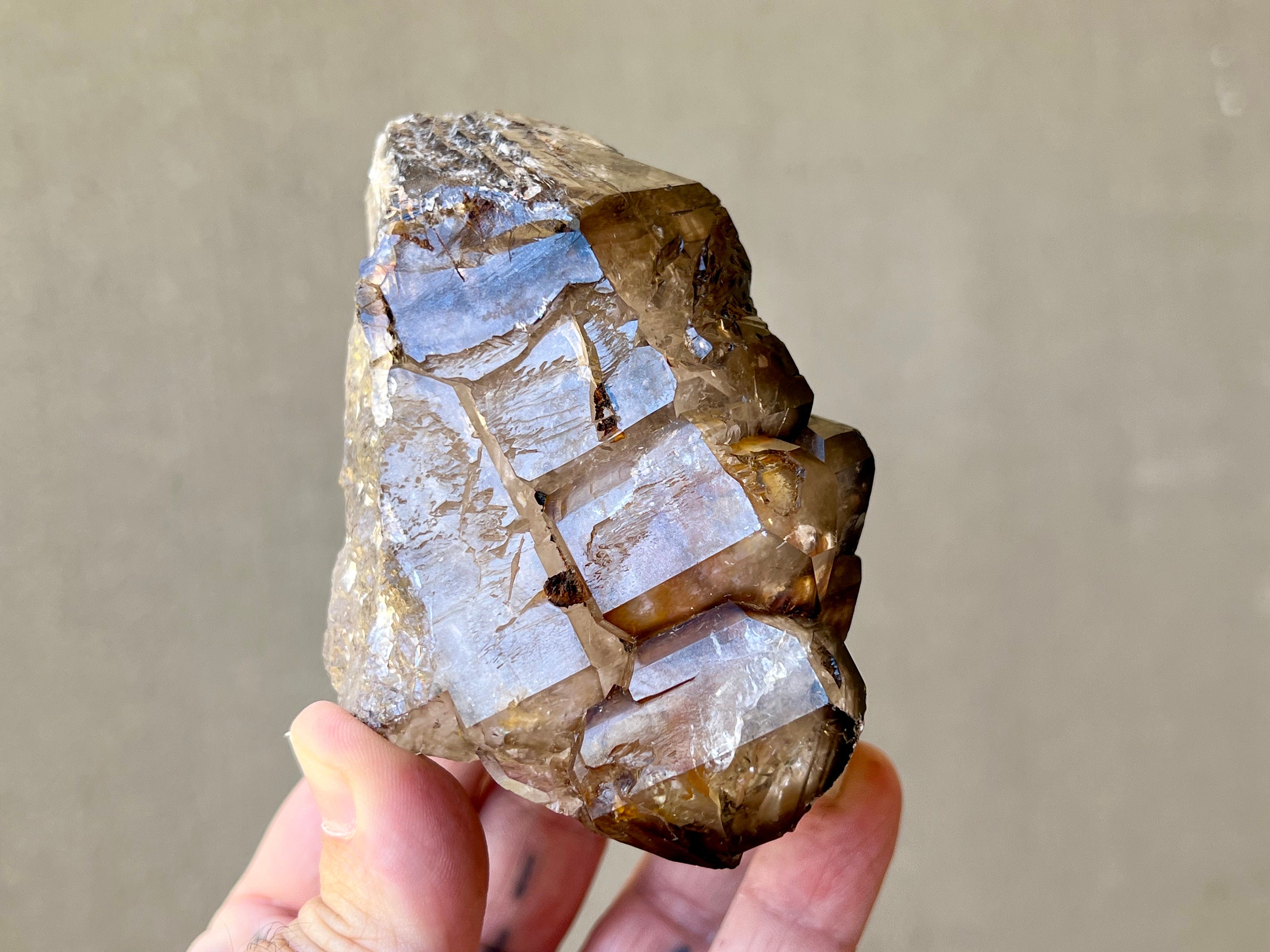 Elestial Smoky Jacare Quartz with Hematite Inclusion and Gorgeous ...