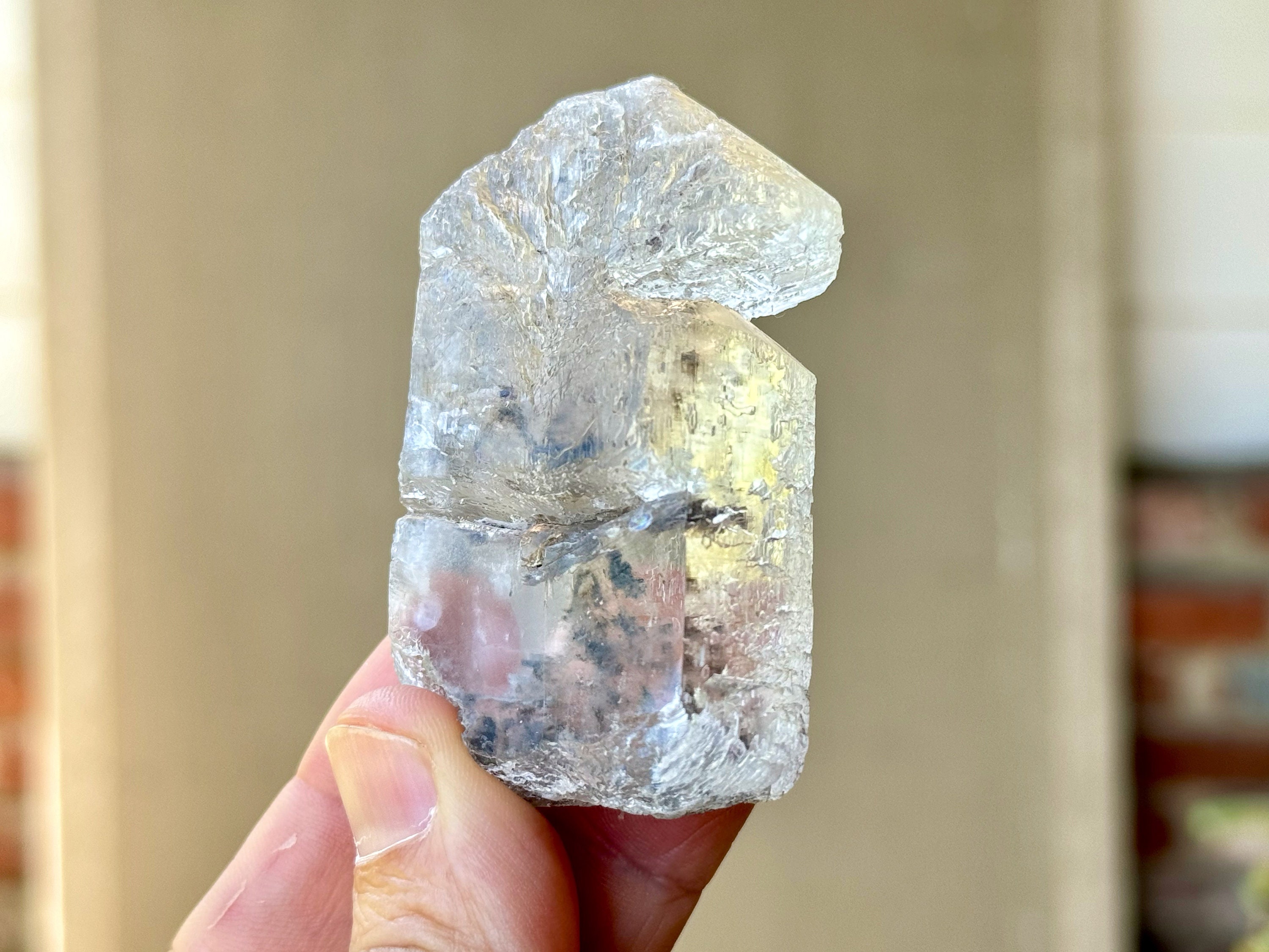 Fishtail Selenite Crystal, New Find, Uniquely Formed Angel Wing ...