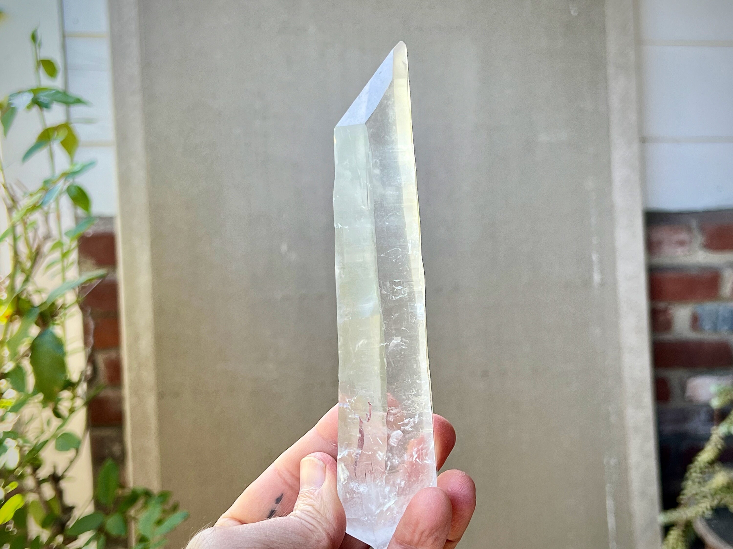 7 Diamantina Laser Quartz Crystal with Exquisite Clarity and Double ...