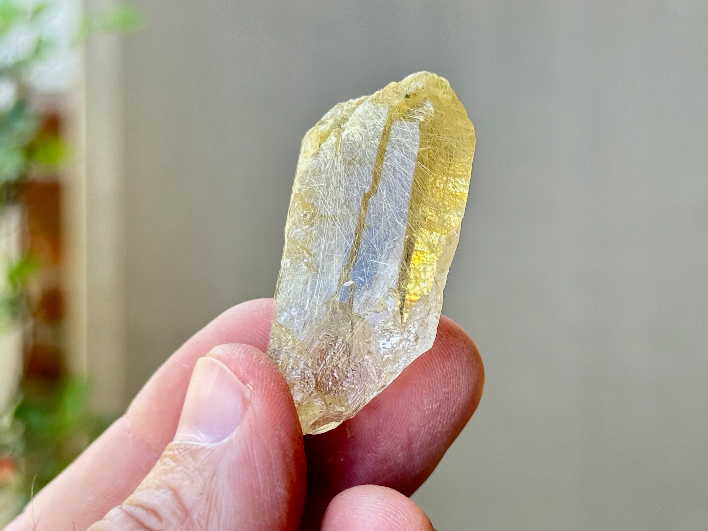 Golden Rutile Quartz with Vibrant Yellow Rutile Inclusions, New Find ...