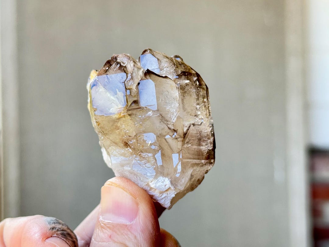 Elestial Smoky Quartz With Unique Sceptered Bloom, 89g, Root Chakra ...