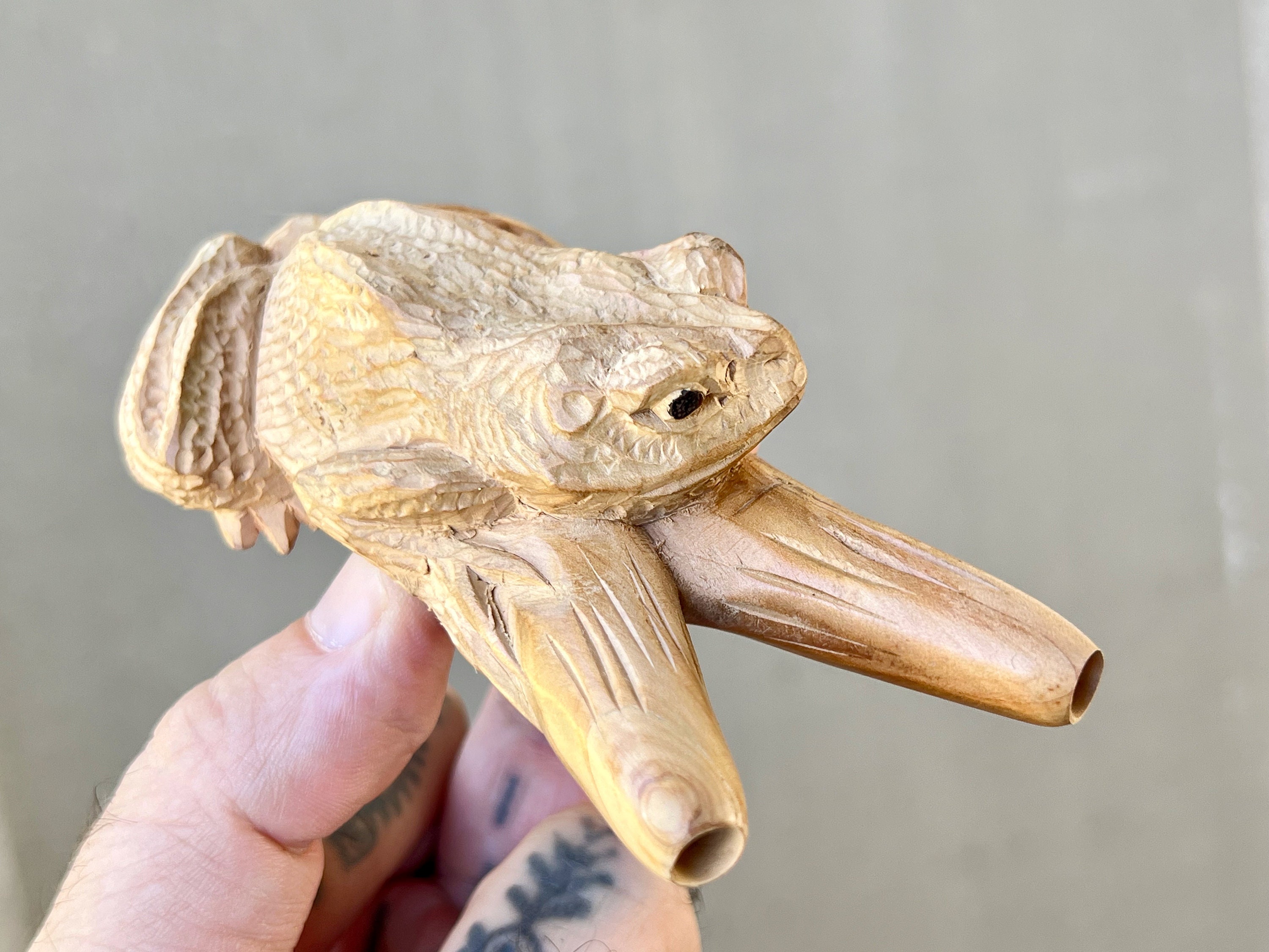 Kuripe, Sonoran Desert Toad Kuripe with Beautiful Detail, Single Block ...