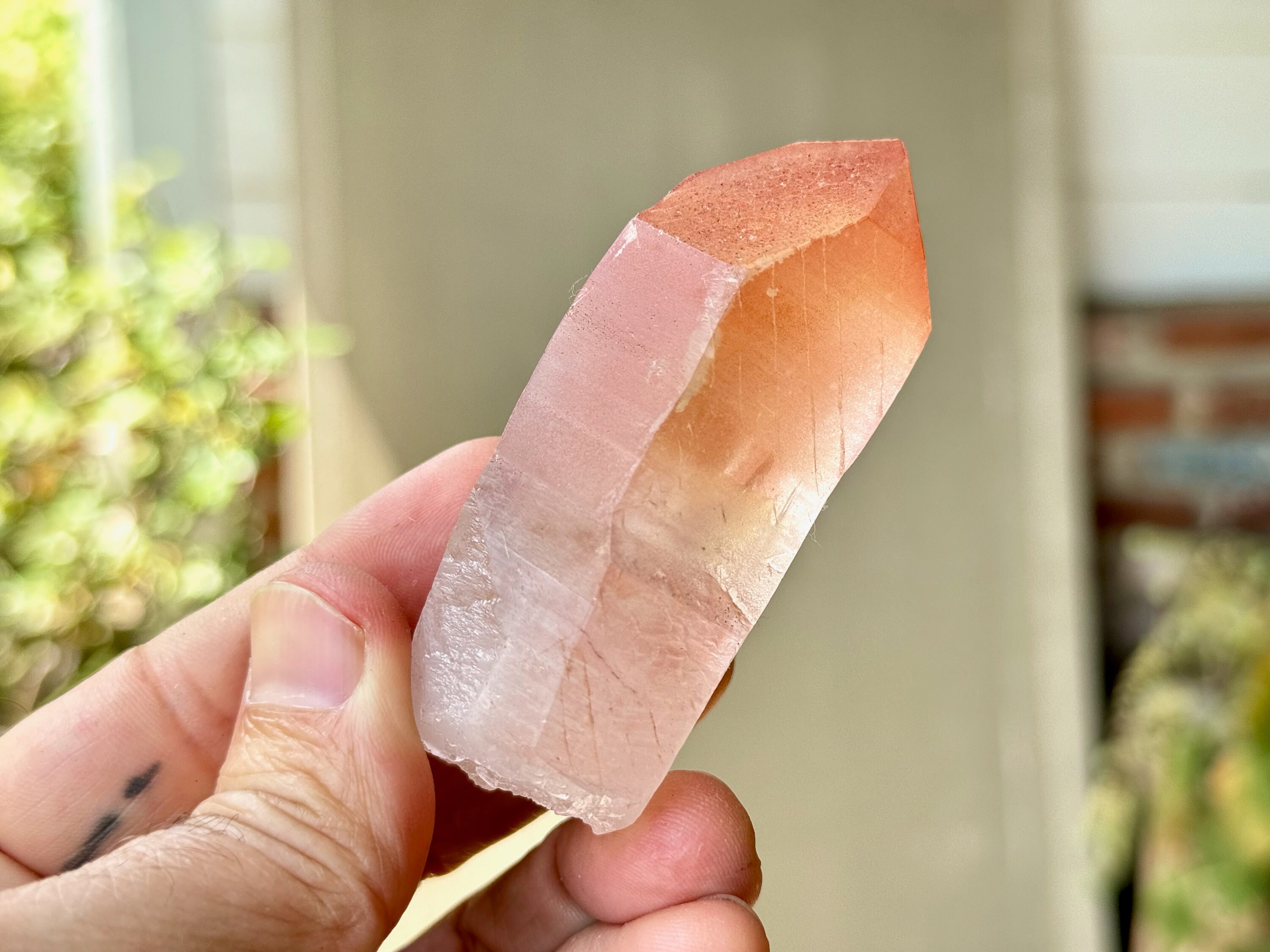 Pink Scarlet Temple Lemurian Quartz, Rare Dow Formation, New Find (2024 ...
