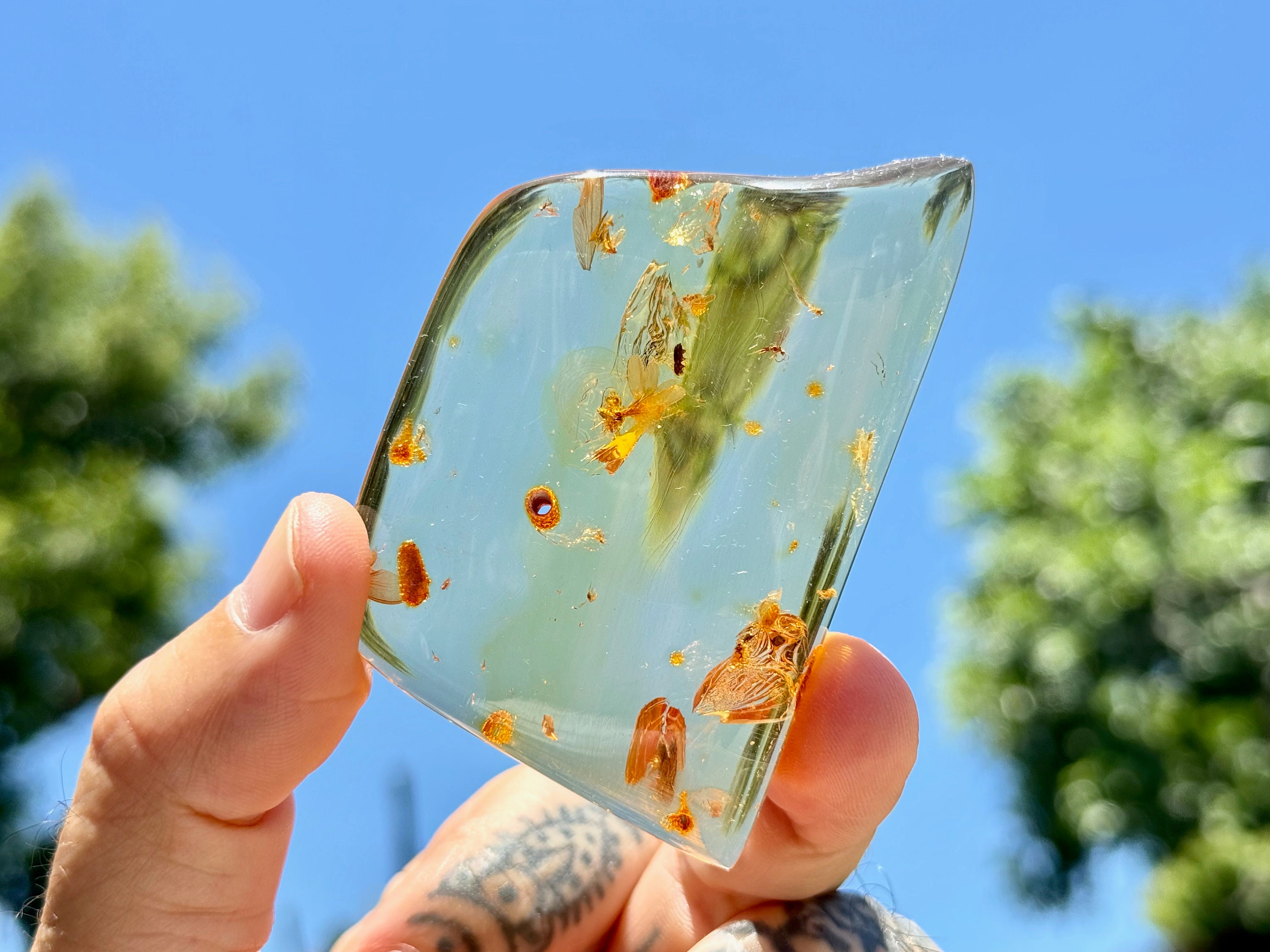 Colombian Copal Amber Crystal with Fossilized Insects and Plant Matter ...