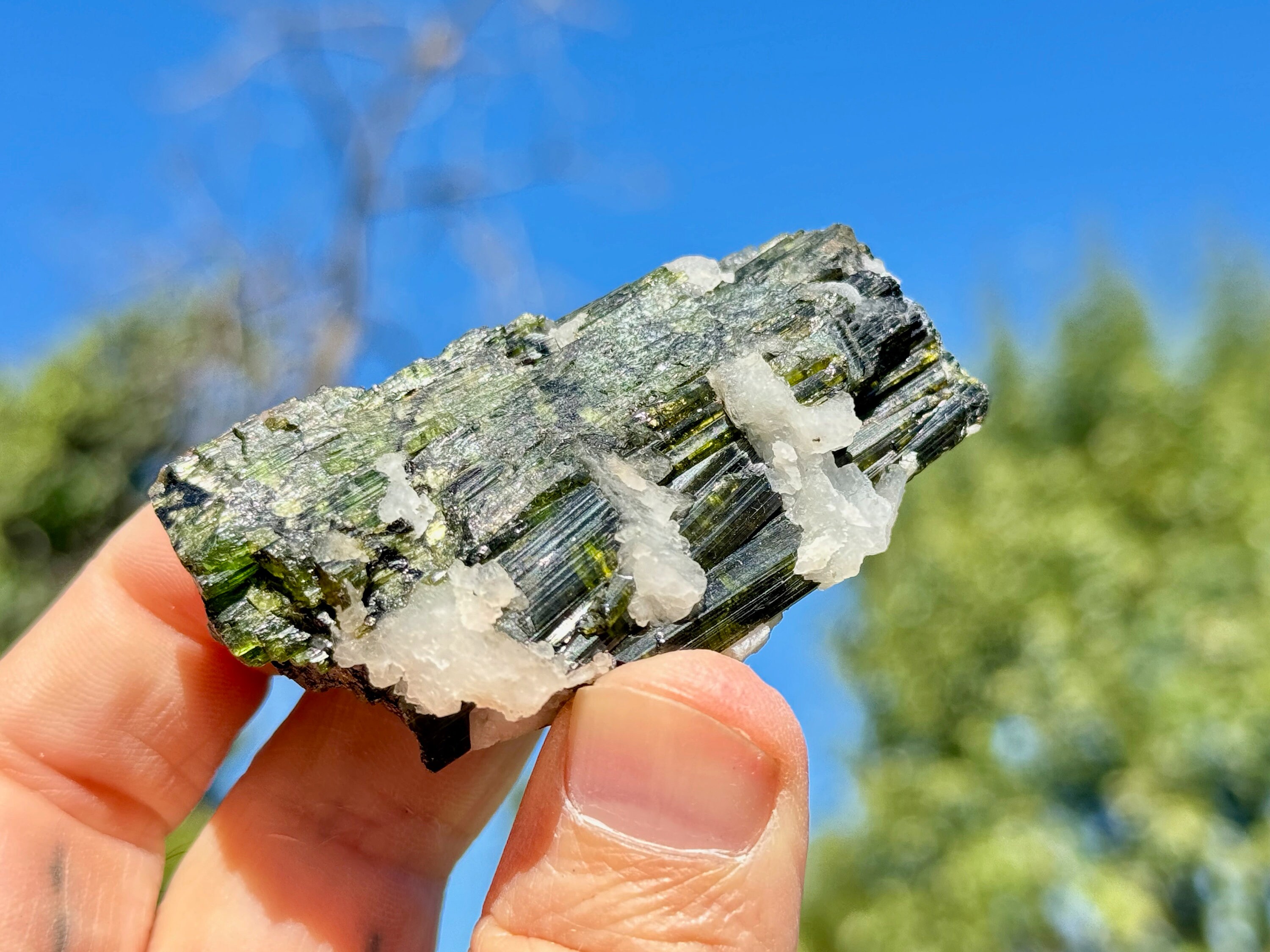 Green Cat's Eye Tourmaline with White Albite, Rare Find, Bicolor Black ...