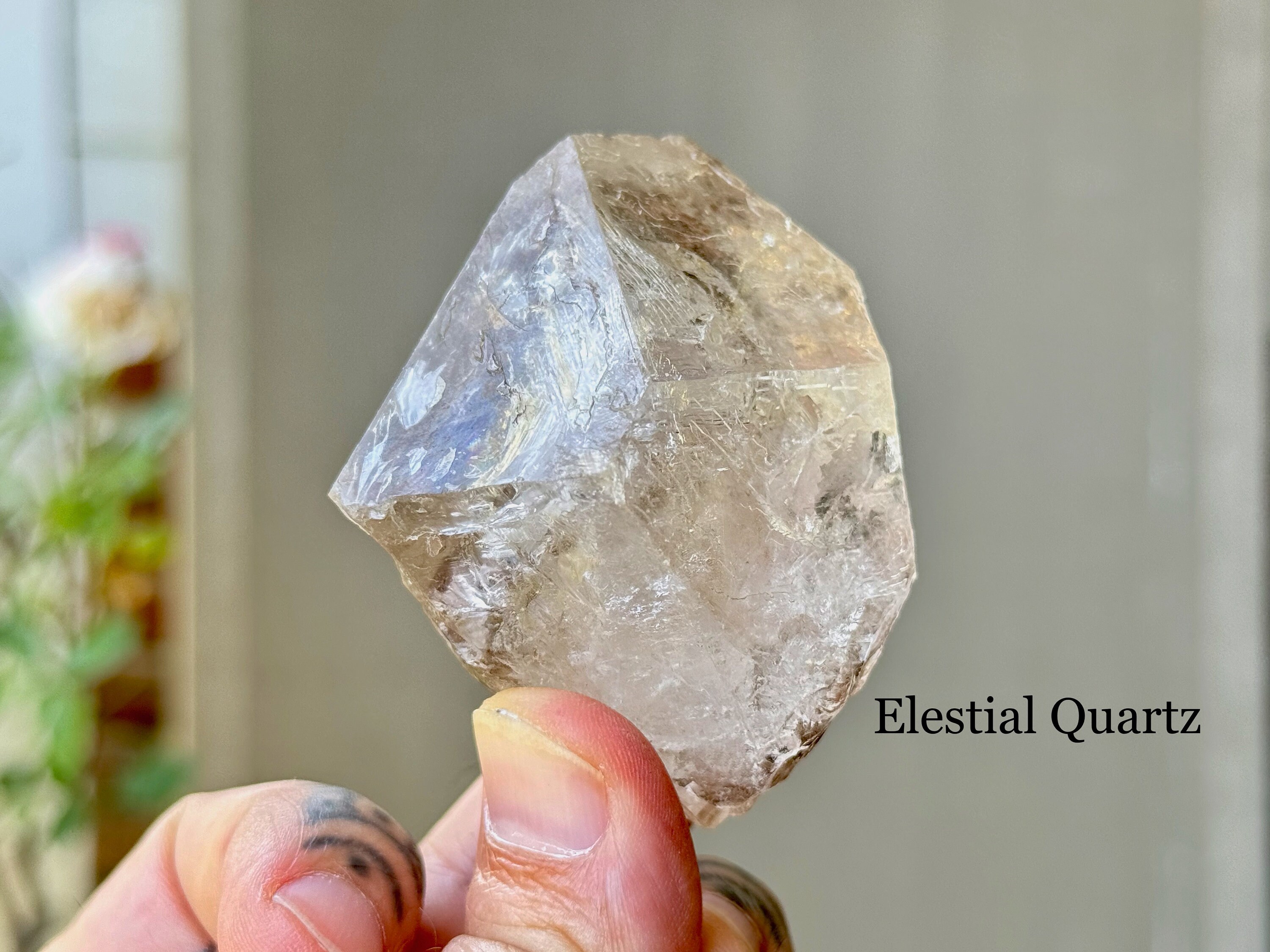 Brazilian Quartz Lot with Smoky Citrine, Cathedral Quartz, Elestial ...