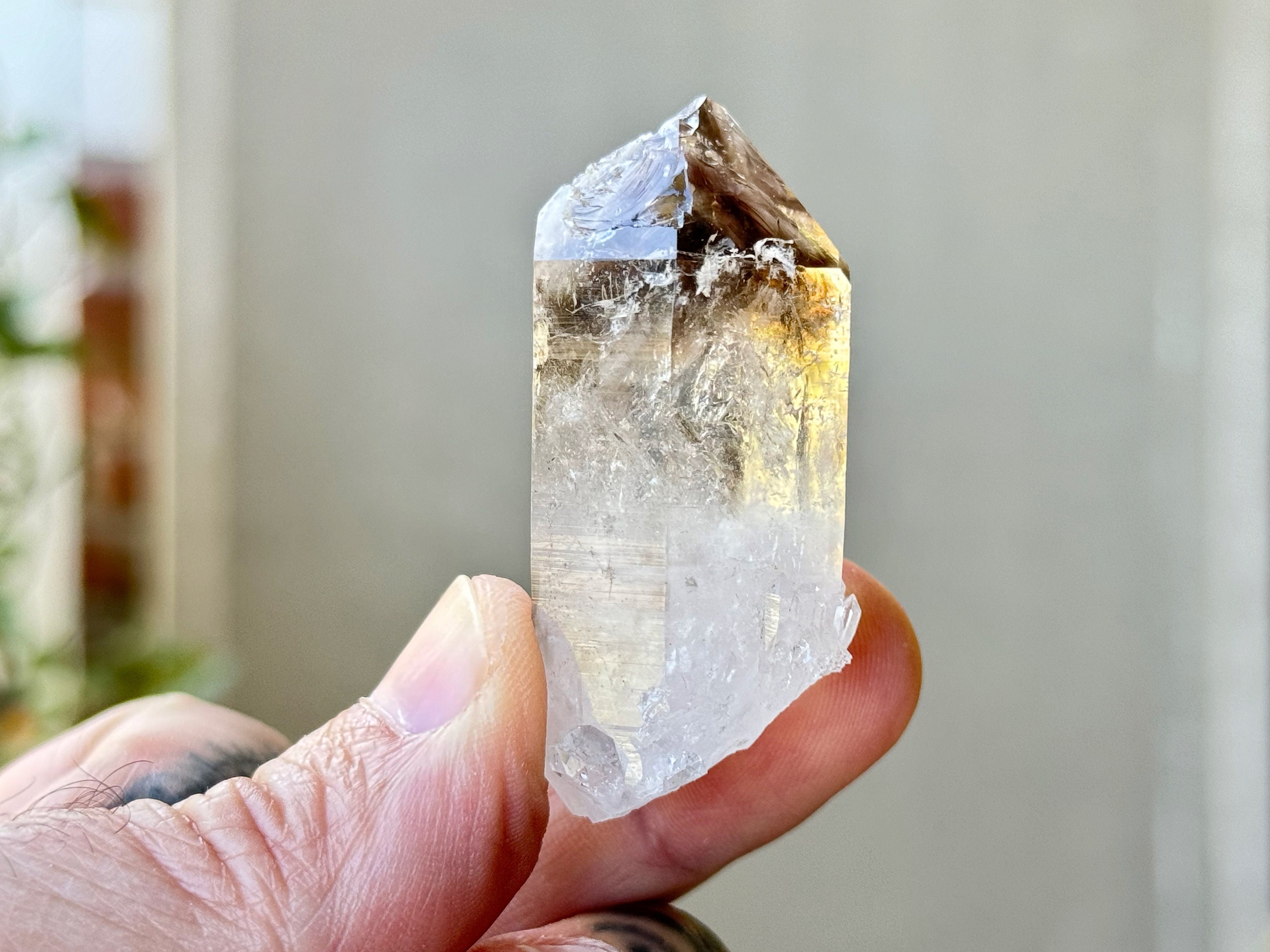 Smoky Enhydro Quartz with Multiple Active Enhydros from The Goboboseb ...