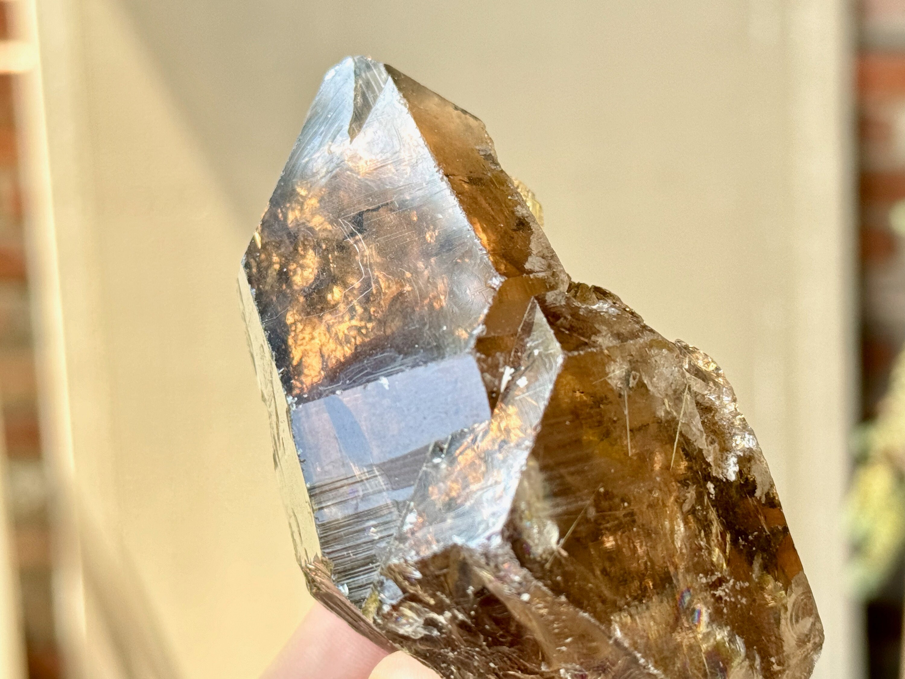 Lustrous Smoky Quartz with Golden Rutile Inclusions, Old Find, Root ...