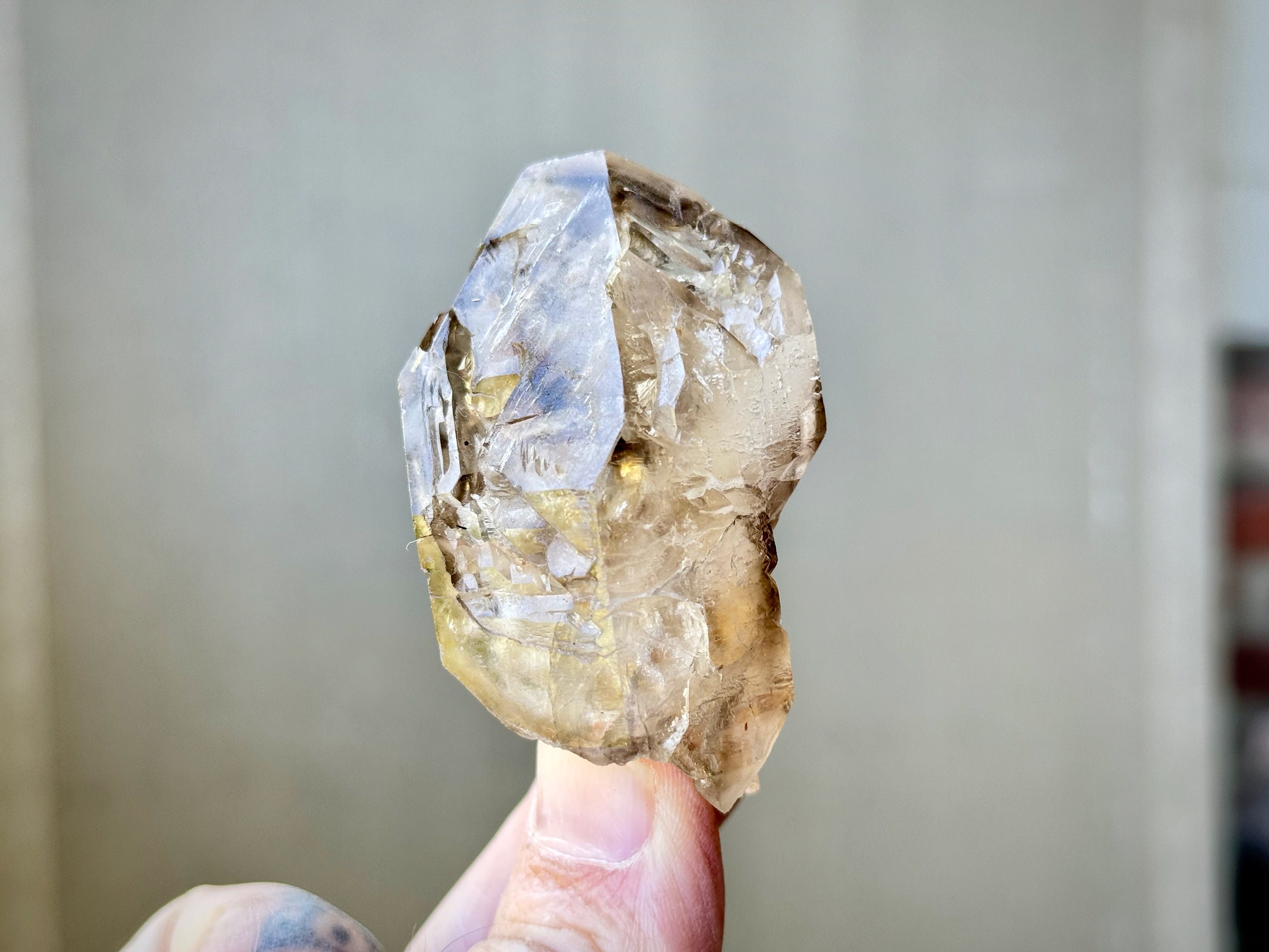 Elestial Smoky Quartz in a Perfect Scepter Formation, New Find, Root ...