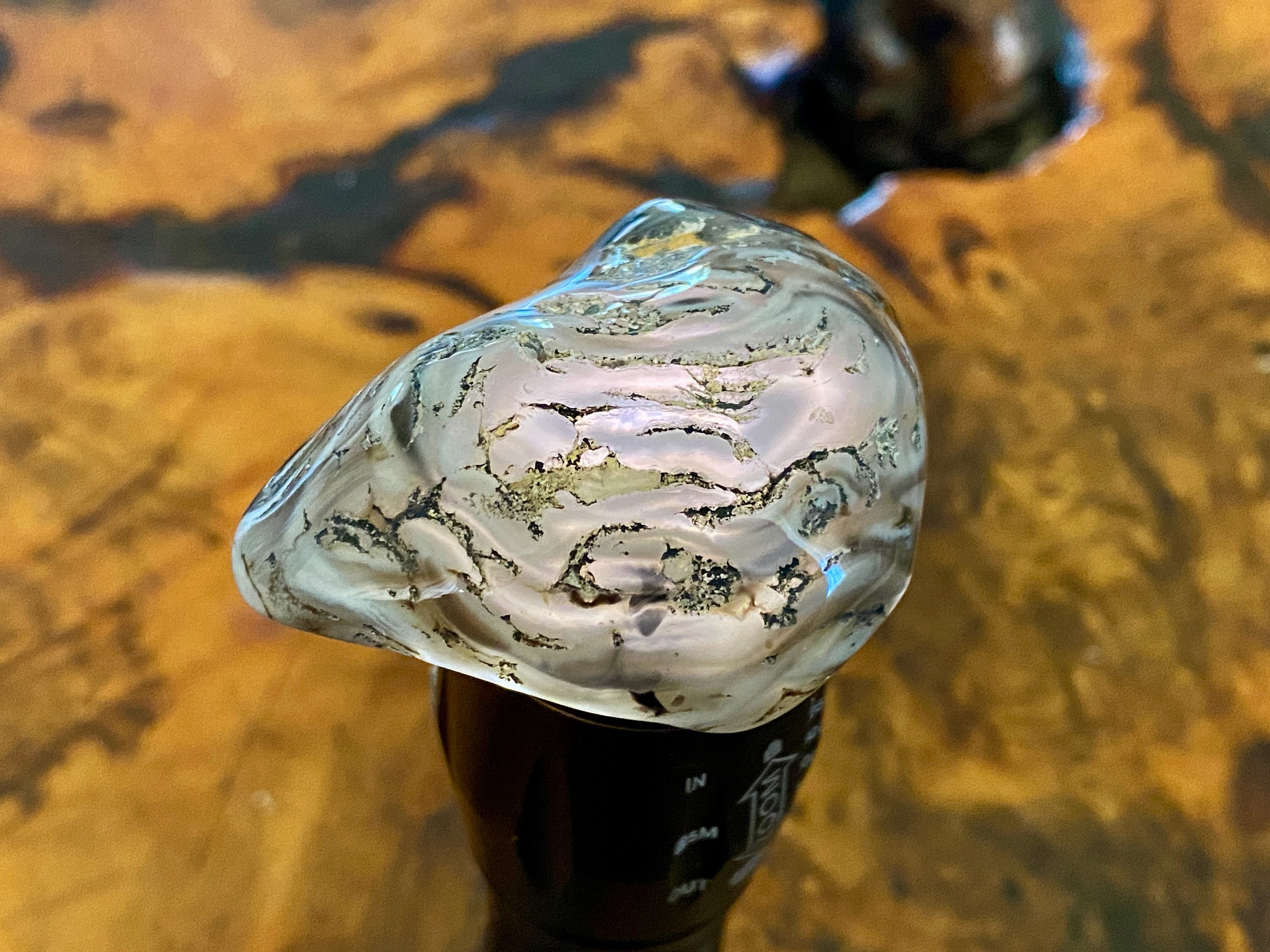 Enhydro Agate with Active Enhydro, Rare Find, Ocean Agate with Moving ...