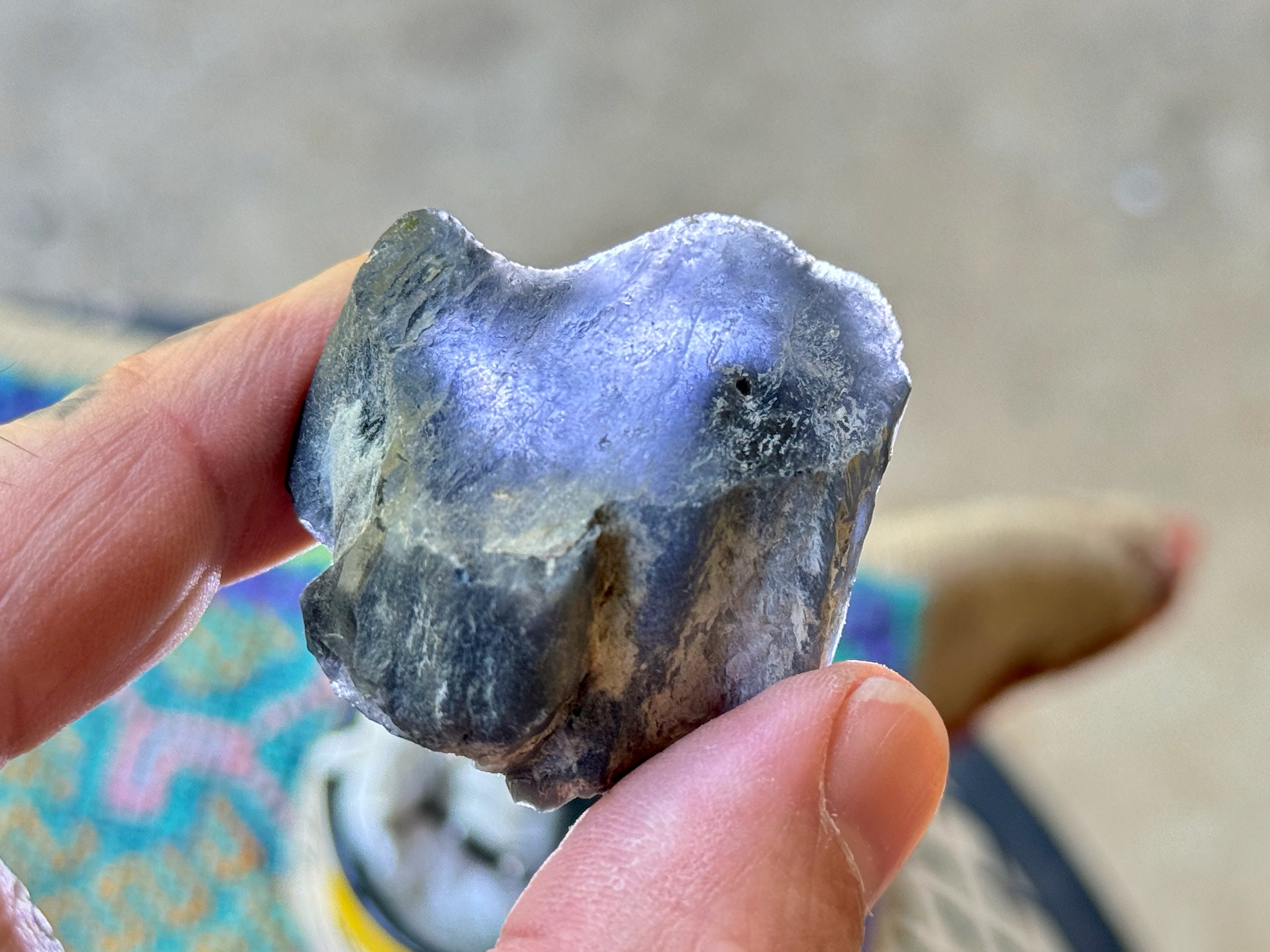 Blue Tara Nightshade Quartz with Vibrant Blue Riebeckite Inclusions ...