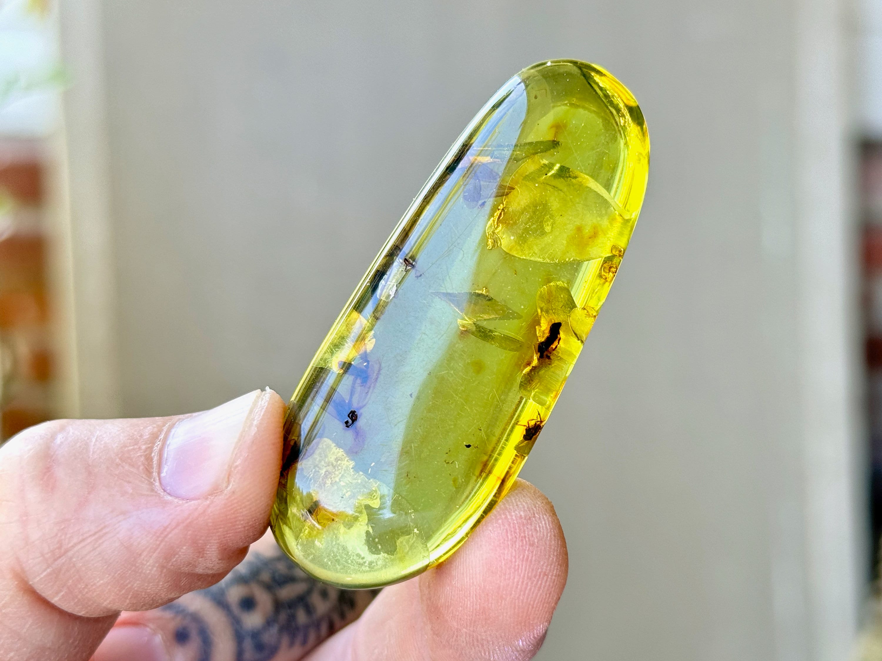 Rare Green Amber Copal Crystal with Fossilized Insects and Plant Matter ...