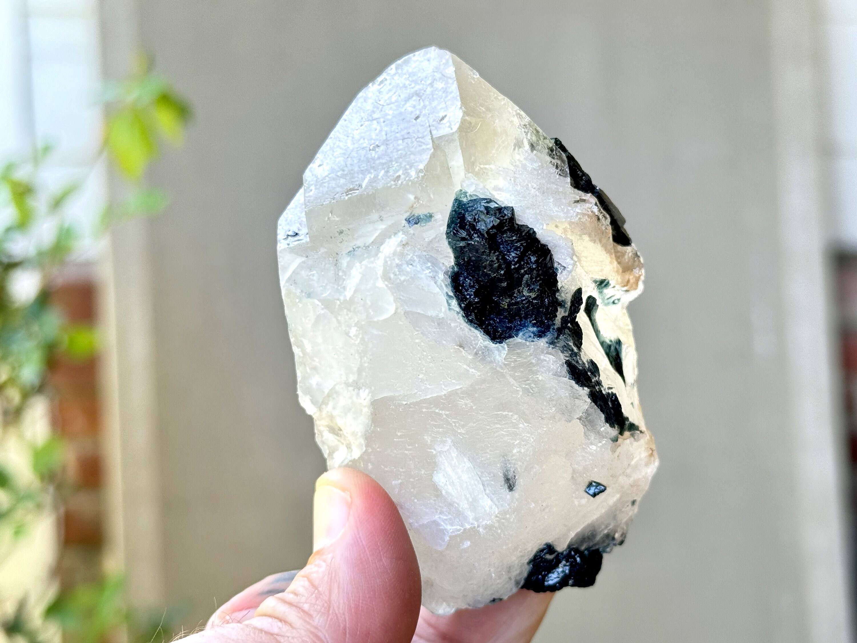 Quartz Crystal with Bicolor Midnight Blue and Opalescent White ...