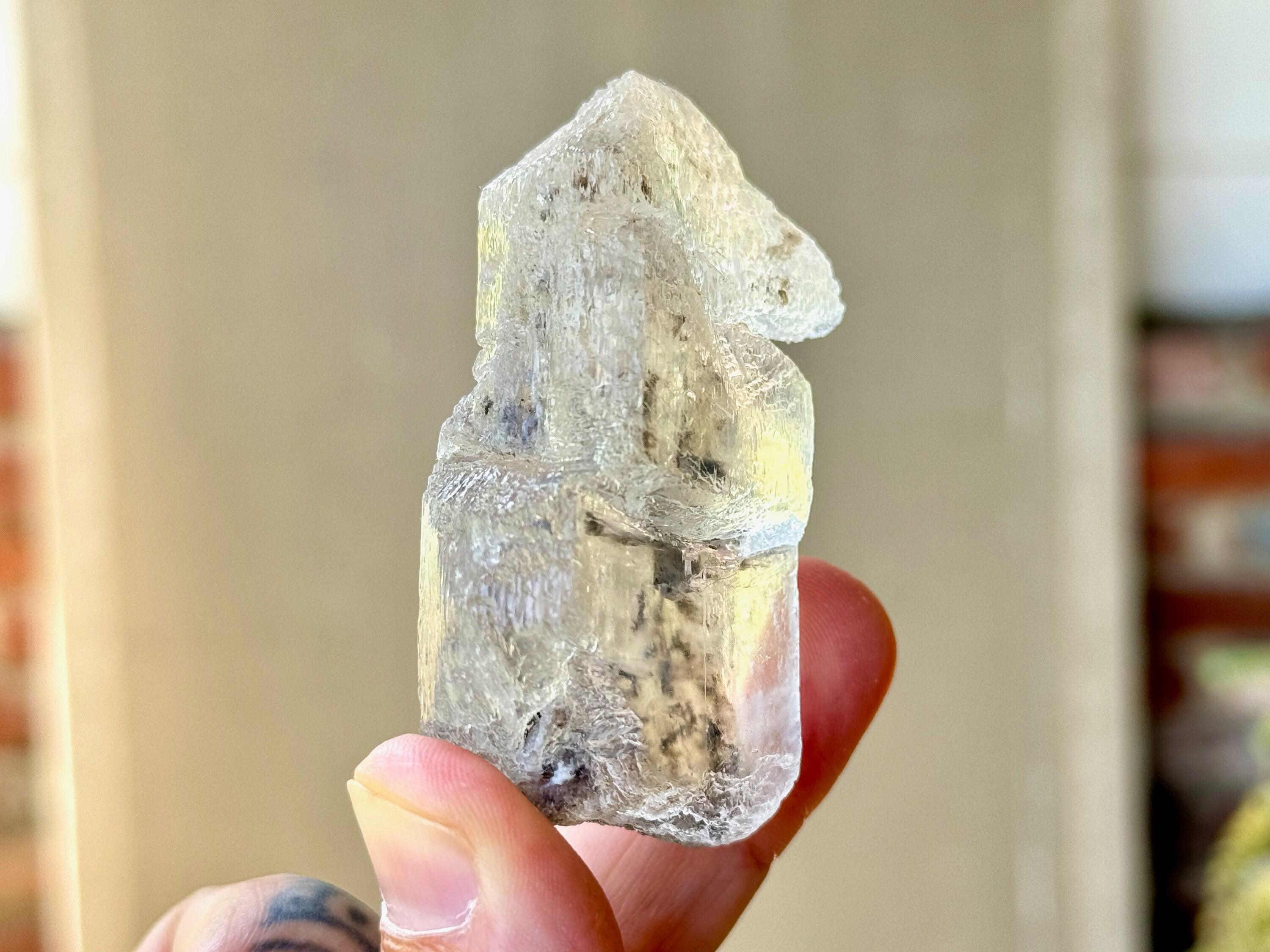 Fishtail Selenite Crystal, New Find, Uniquely Formed Angel Wing ...