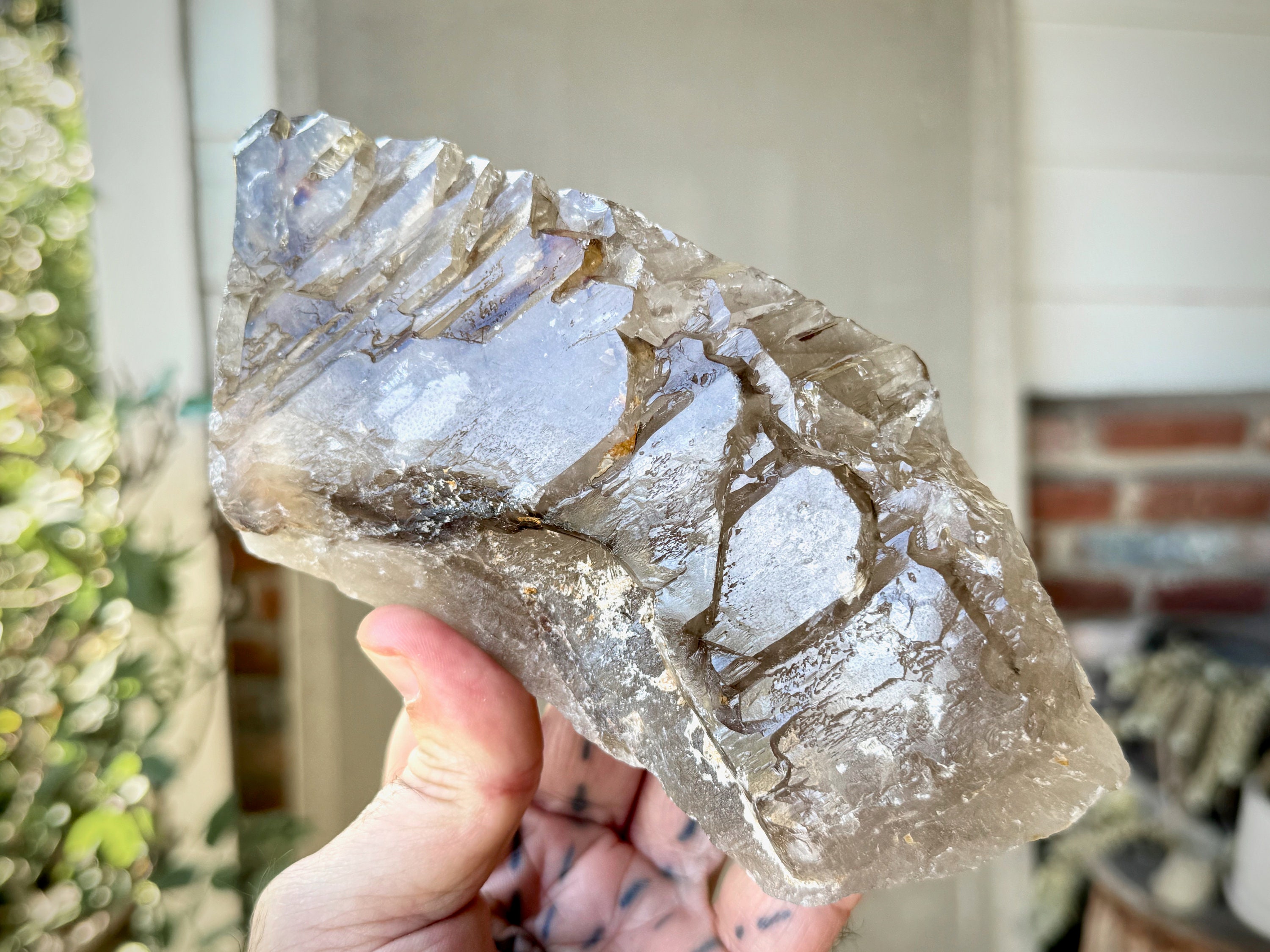 Elestial Smoky Quartz with Jacare Textures from BG3 Locale, Root Chakra ...