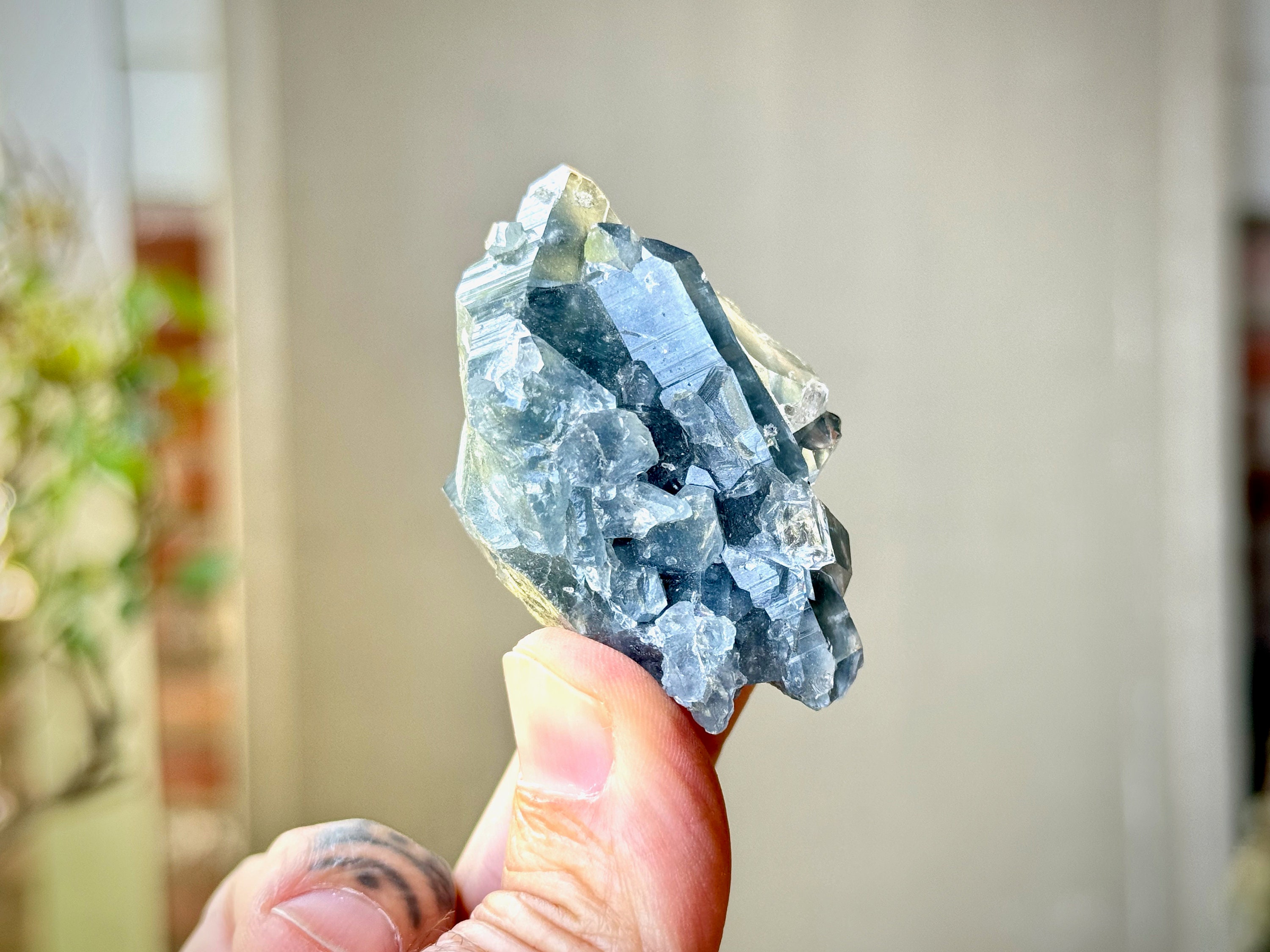 Blue Tara Quartz Cluster with Vibrant Blue Riebeckite Inclusions, New ...