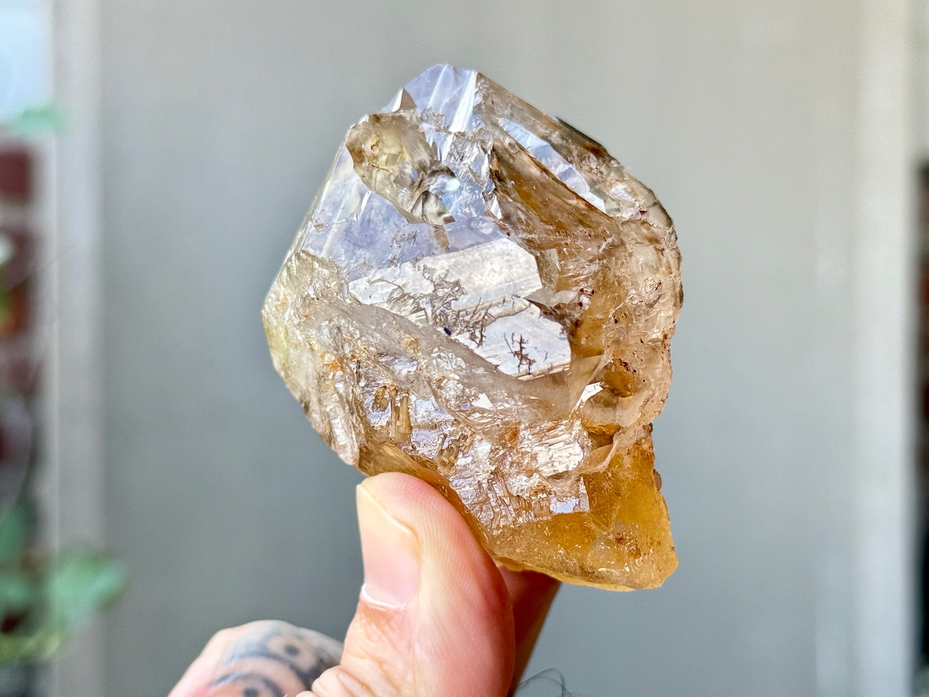 Elestial Citrine, Scepter Formation, 144g, Solar Plexus Chakra Crystal ...