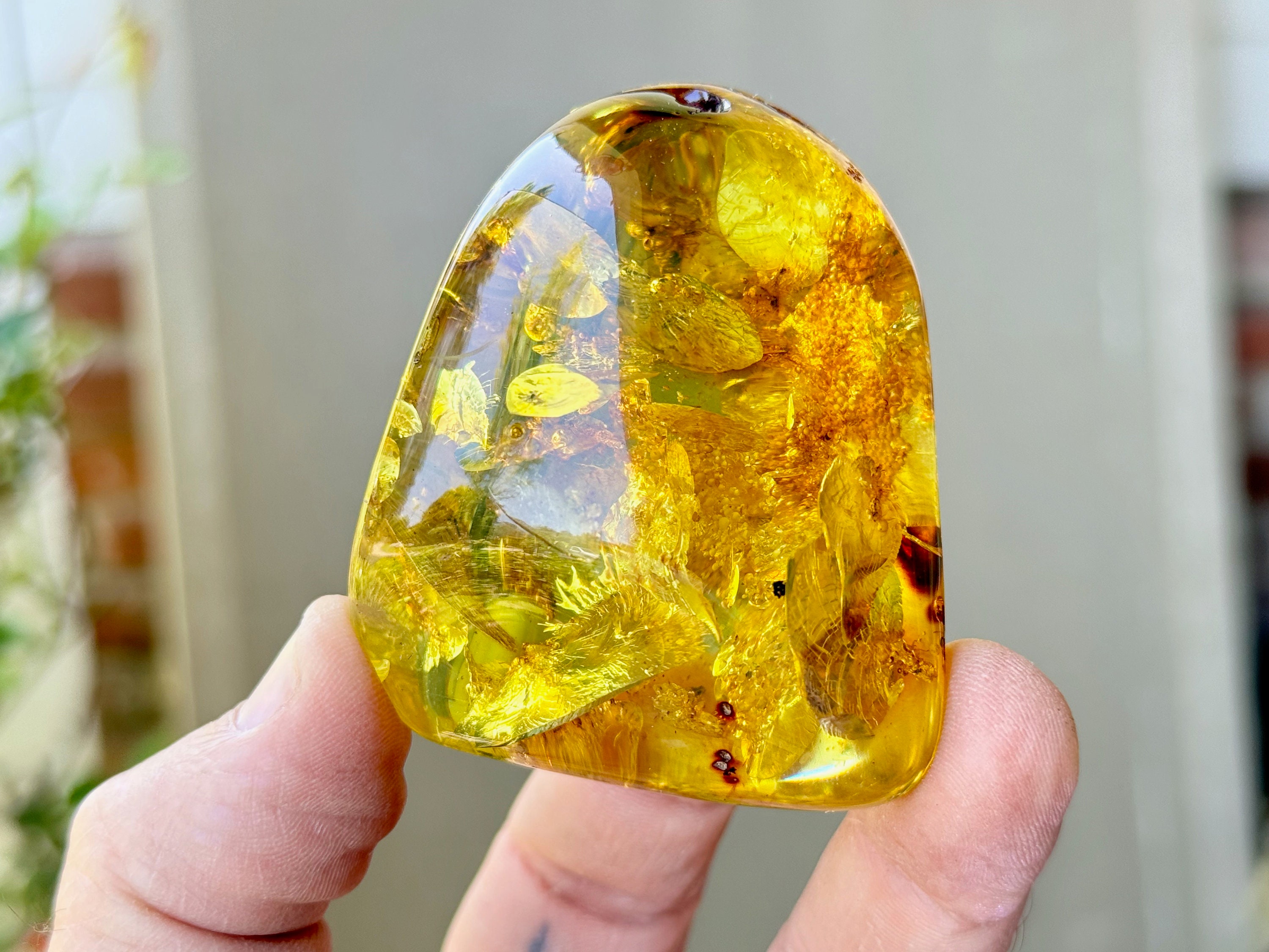 Colombian Amber Copal Crystal with Mild Green Hue, Fossilized Insects ...