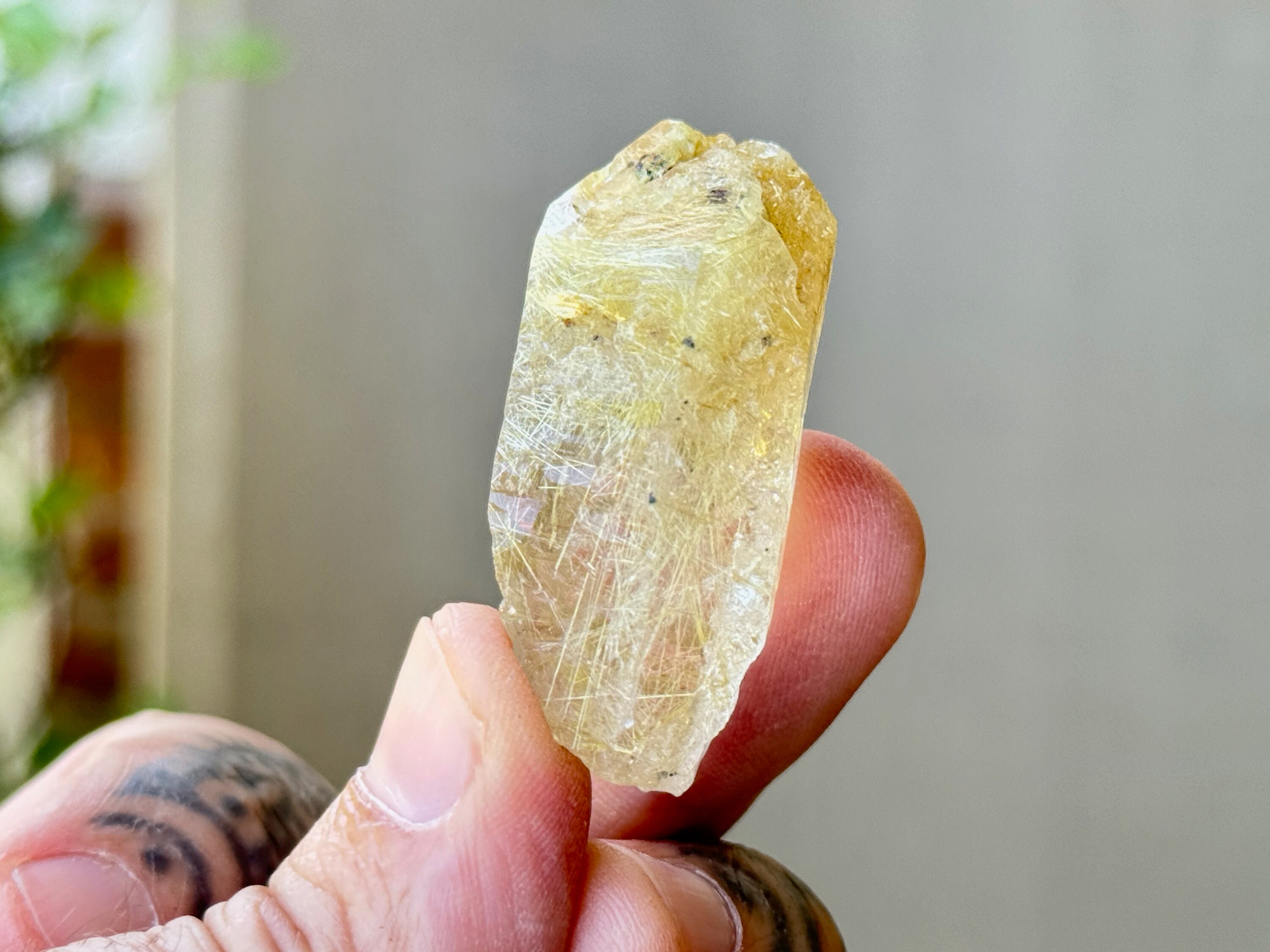 Golden Rutile Quartz with Vibrant Yellow Rutile Inclusions, New Find ...