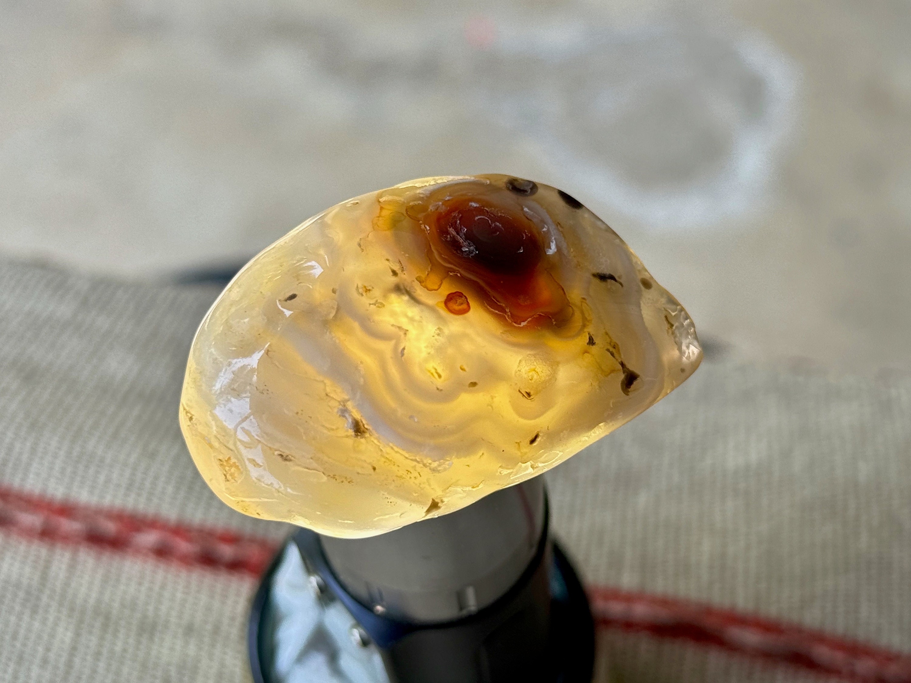 Enhydro Agate with Active Enhydro, Rare Find, Ocean Agate with Moving ...