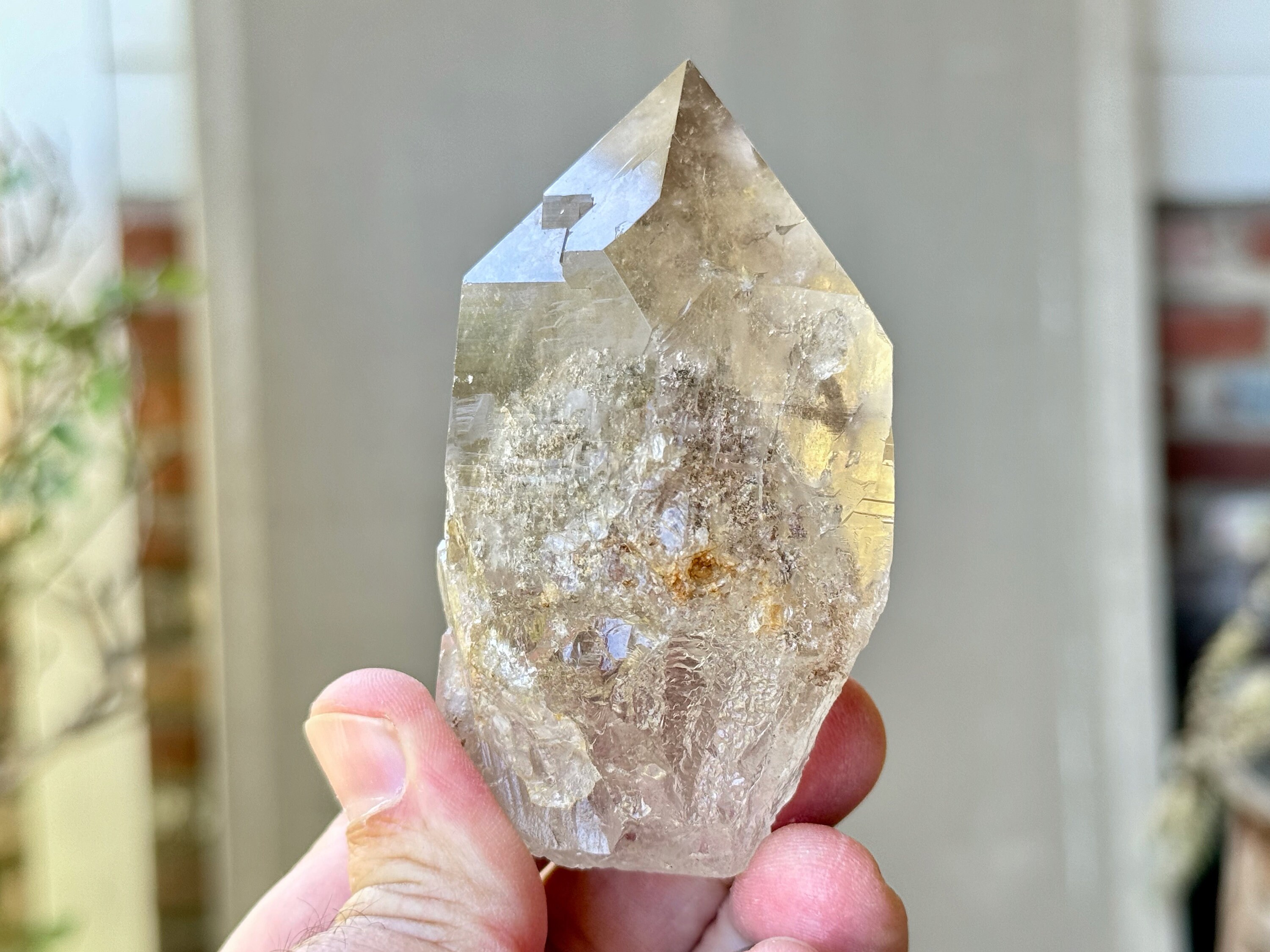White Phantom Lodolite Quartz with Mild Golden Hue and Beautiful Garden ...