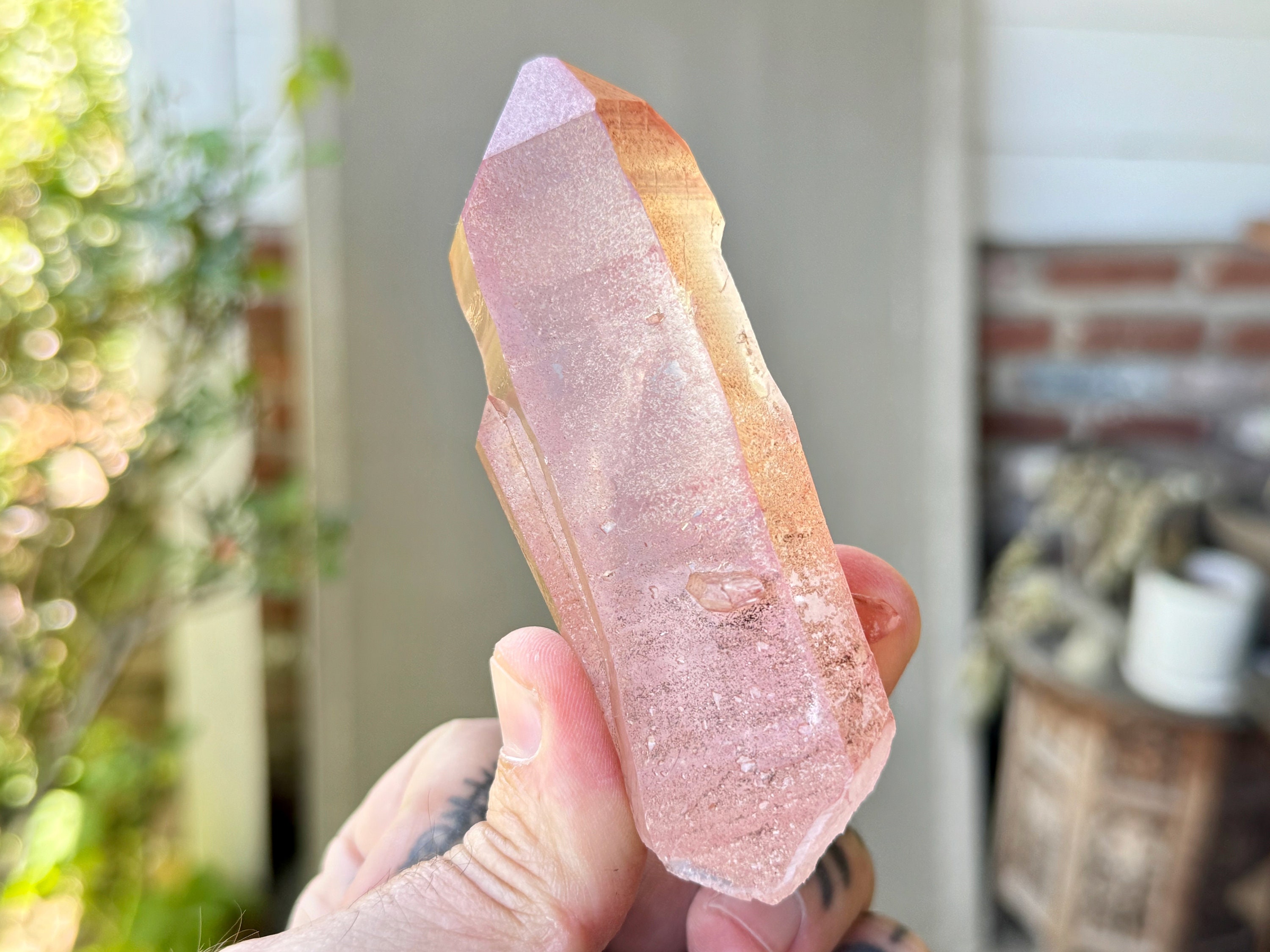 Pink Scarlet Temple Lemurian Quartz with Penetrator Crystals, New Find ...