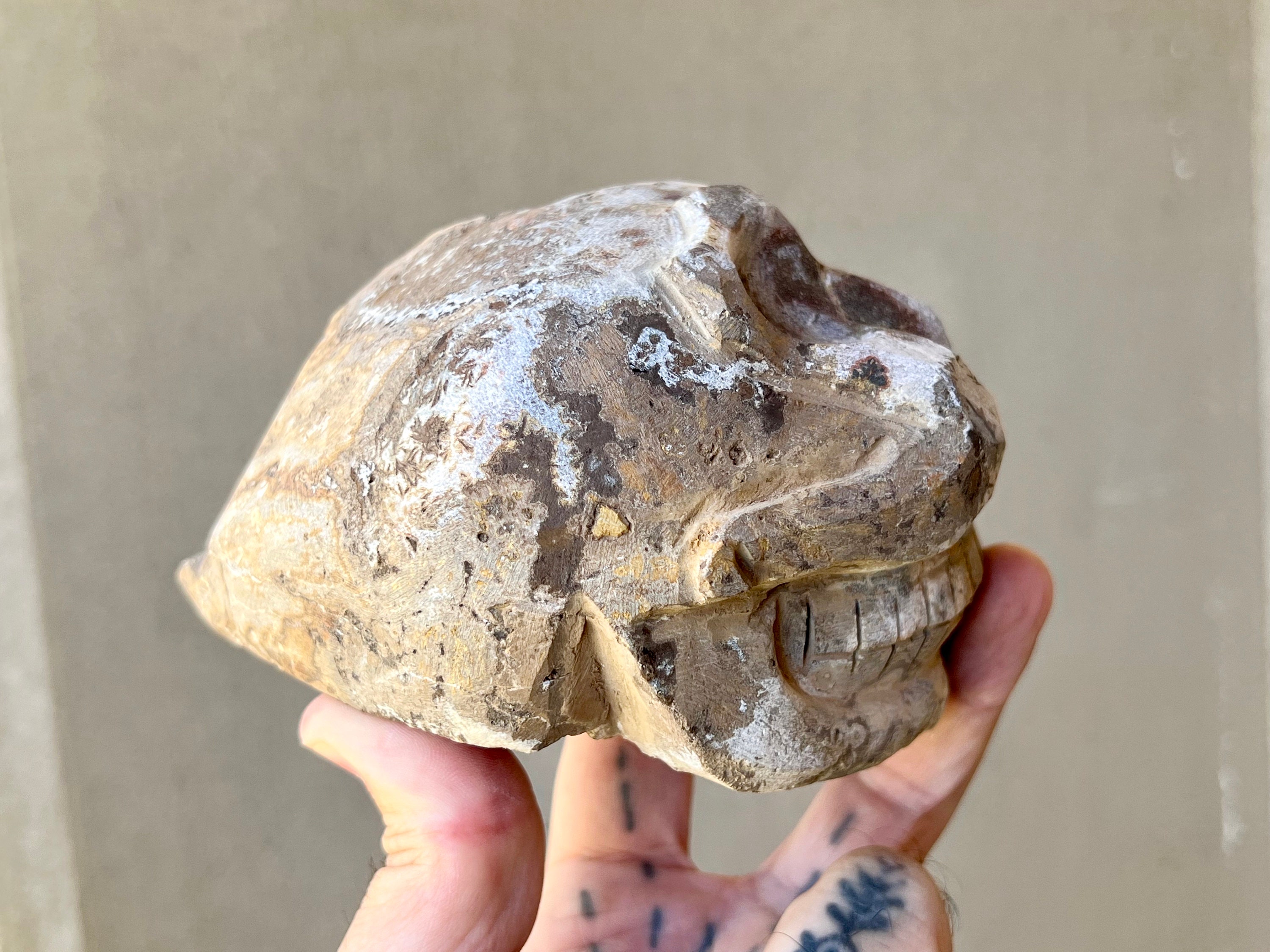 Carved Stone Skull, Stone, Amethyst and Quartz Crystal Skull Geode from ...