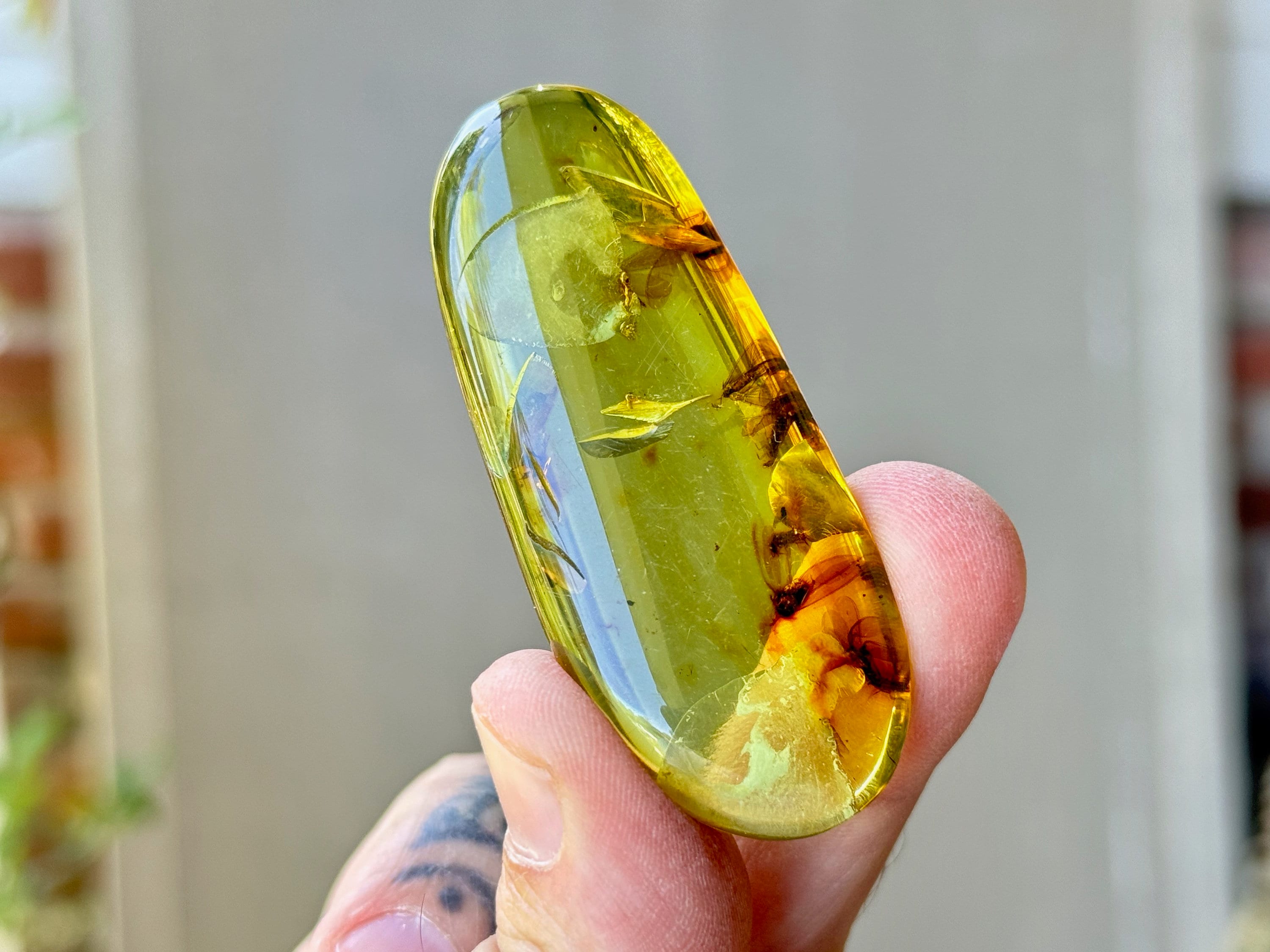 Rare Green Amber Copal Crystal with Fossilized Insects and Plant Matter ...