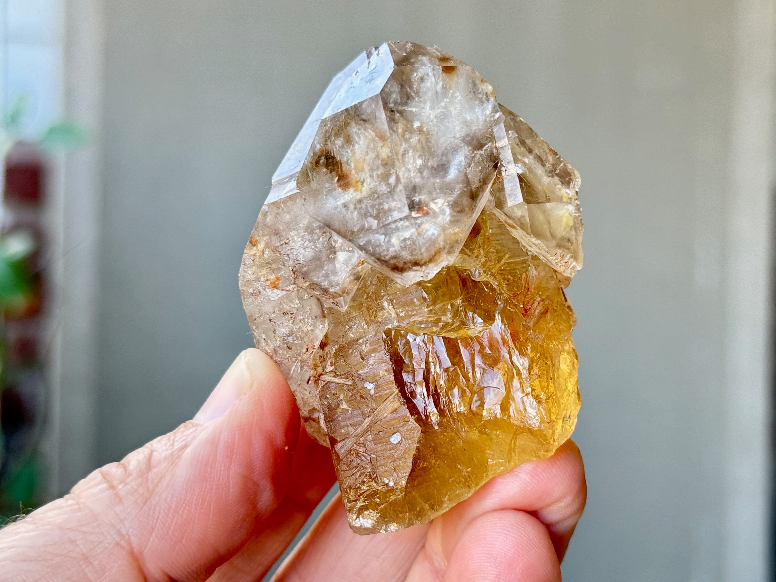 Elestial Citrine, Scepter Formation, 144g, Solar Plexus Chakra Crystal ...
