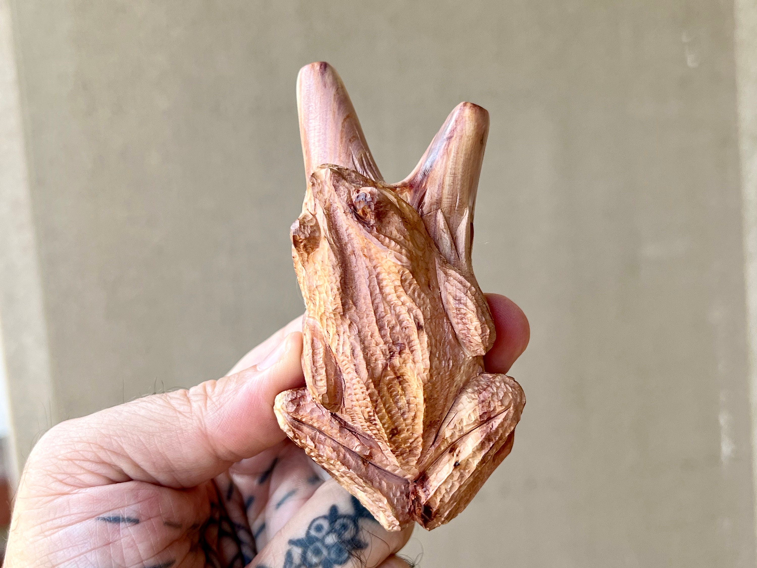 Kuripe, Sonoran Desert Toad Kuripe with Beautiful Detail, Single Block ...