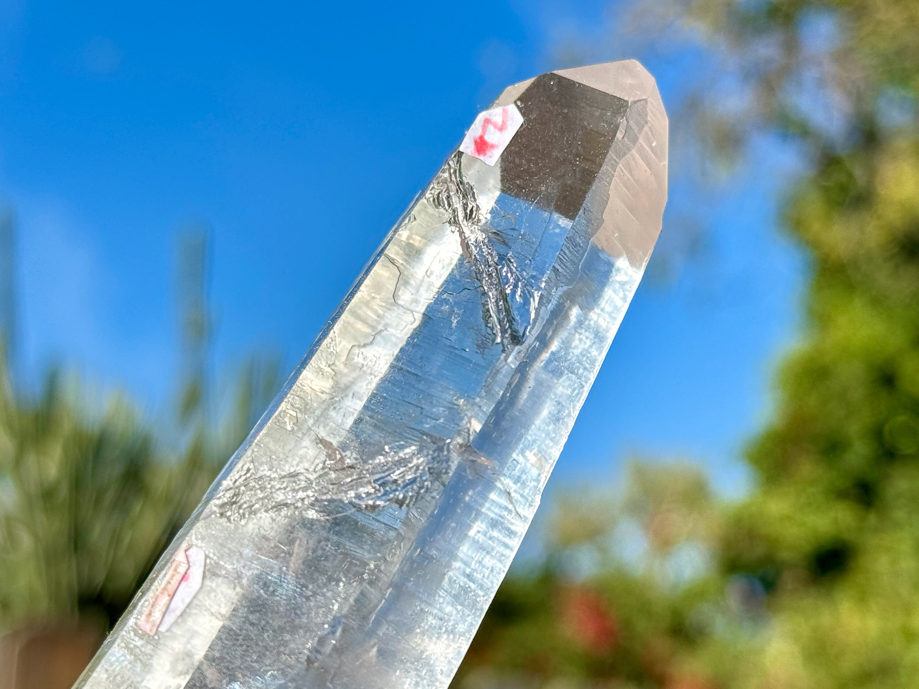 Lightning Strike Laser Quartz with Water Clear Clarity, Rare Find ...