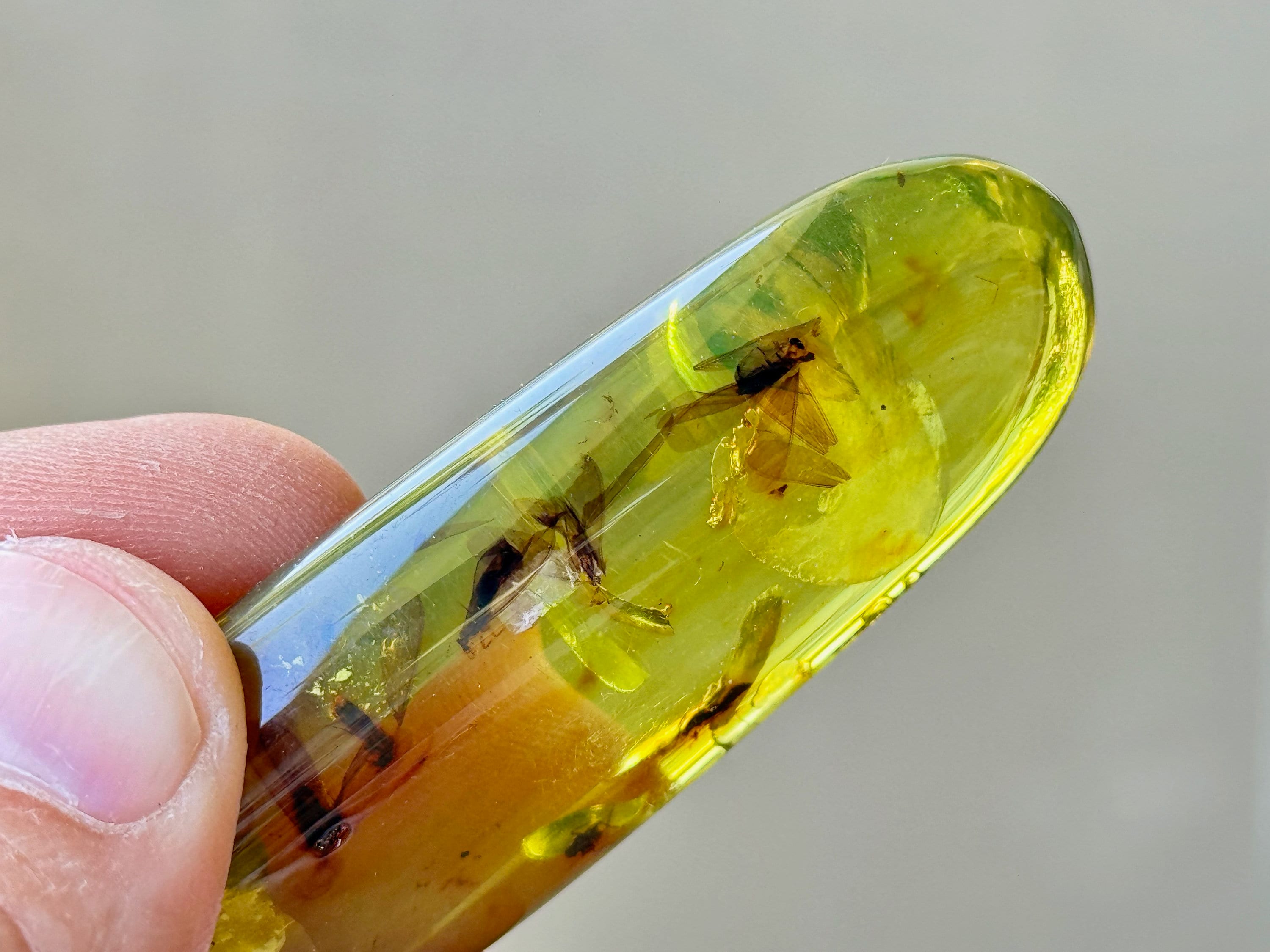 Rare Green Amber Copal Crystal with Fossilized Insects and Plant Matter ...