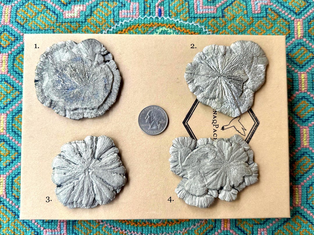Pyrite Sun Discs, Choose ONE of Four, Natural Pyrite Concretions With ...