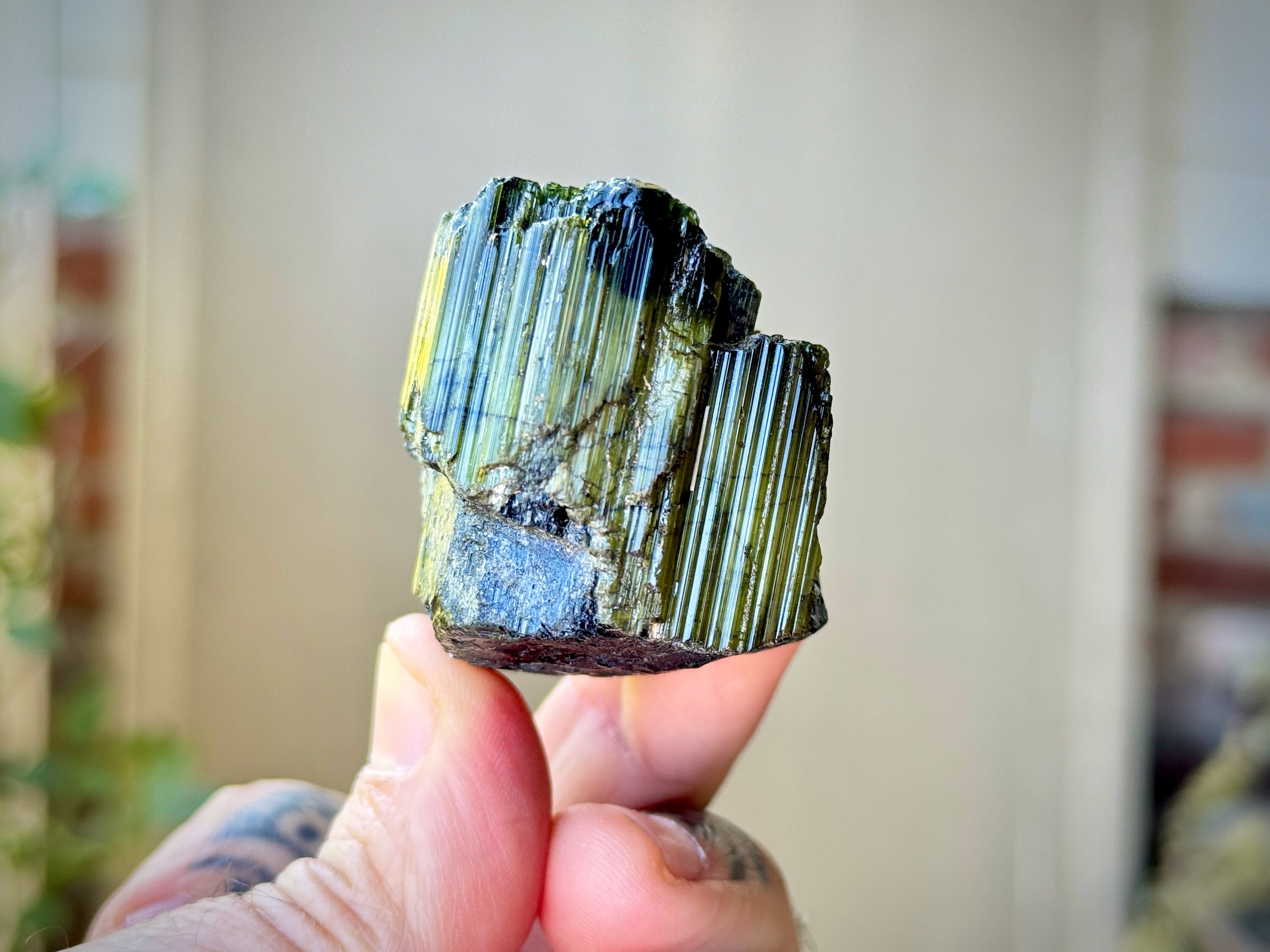 Green Cat's Eye Tourmaline with Lovely Iridescence, Bicolor Black and ...