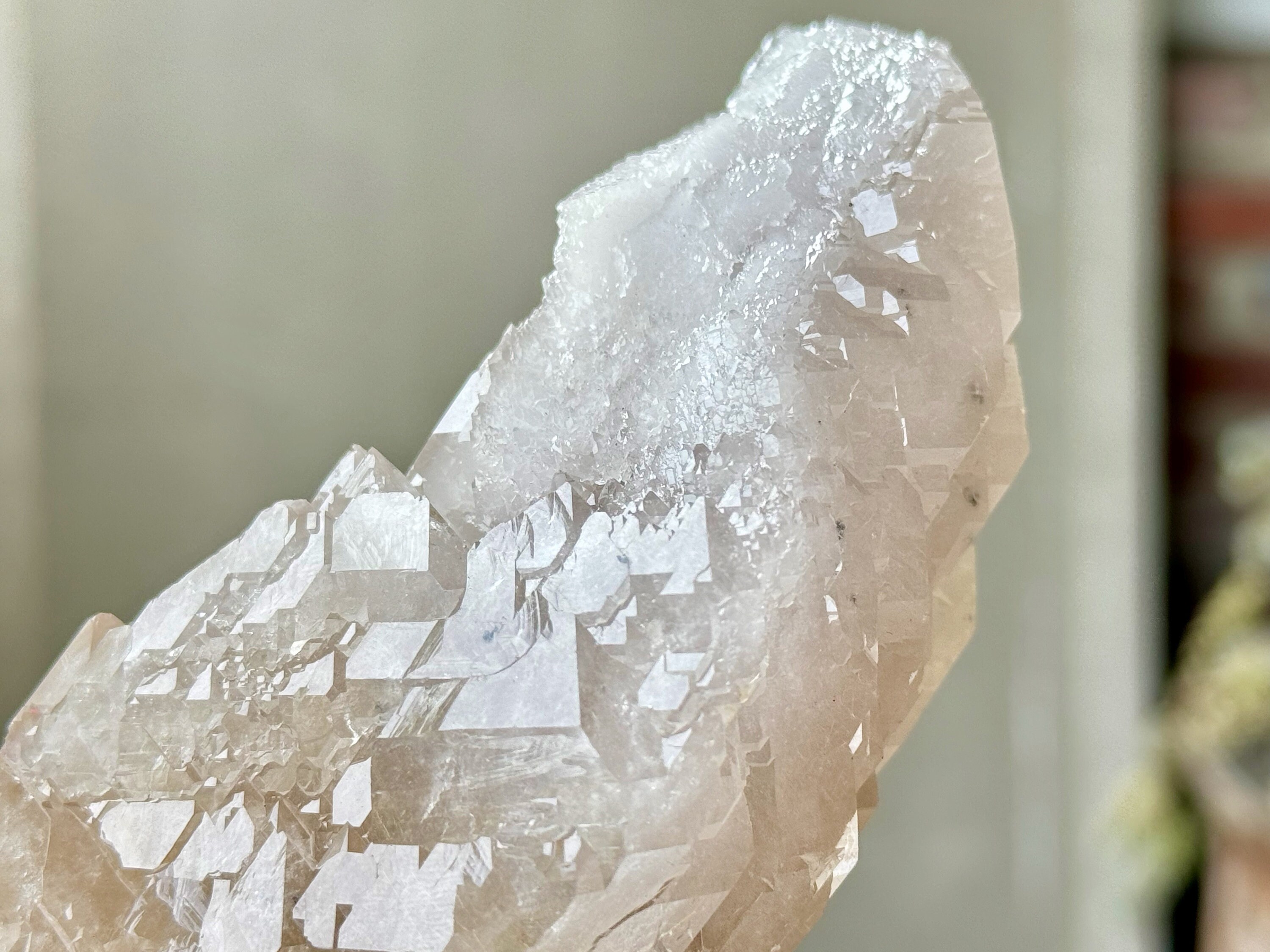 Elestial Quartz with Golden Rutile Inclusions, New Find, Exquisite ...