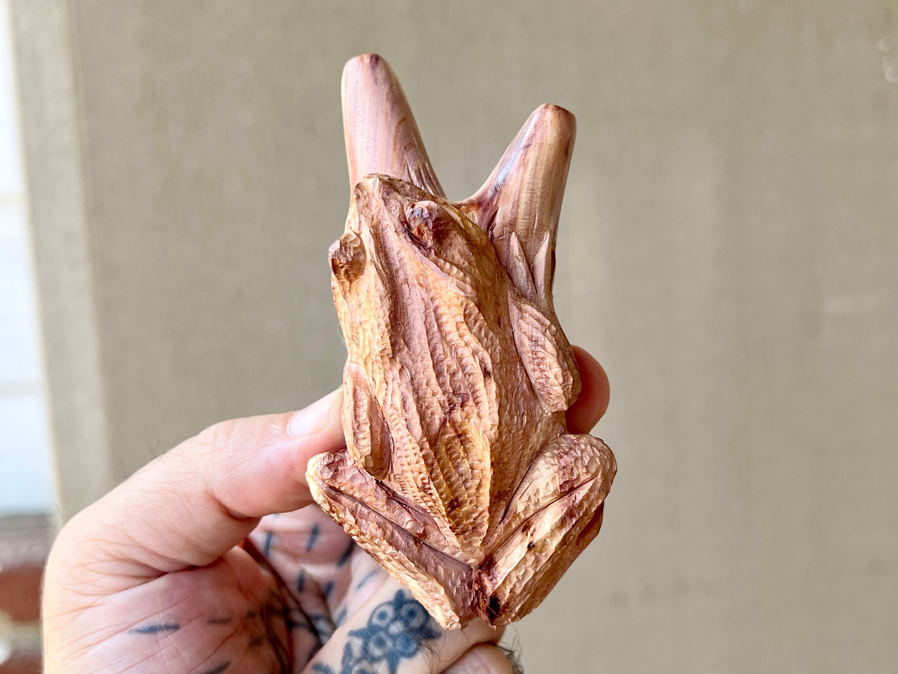 Kuripe, Sonoran Desert Toad Kuripe with Beautiful Detail, Single Block ...