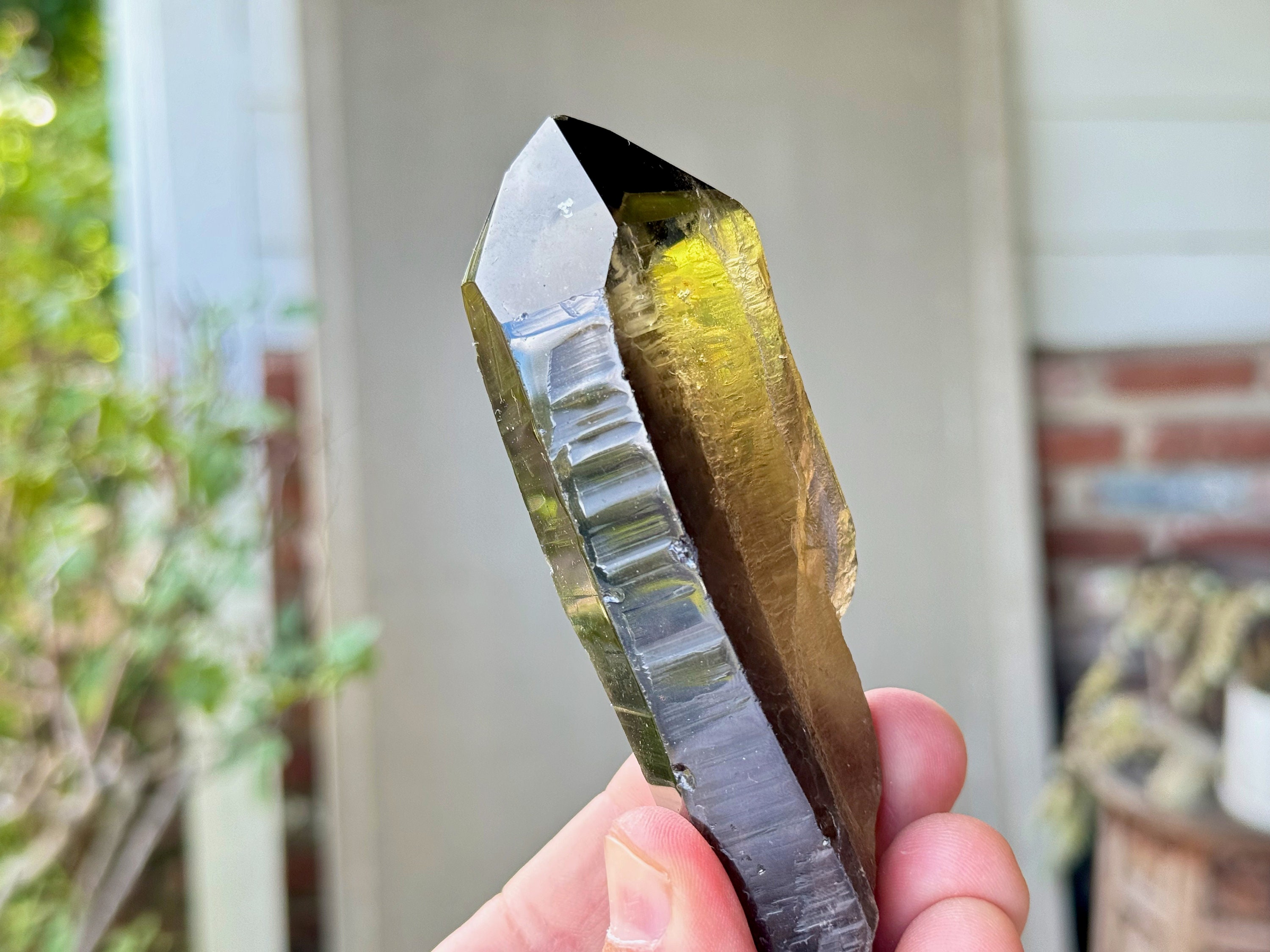 Shadow Healer Lemurian Quartz, New Find, Smoky Black Citrine Lemurian ...