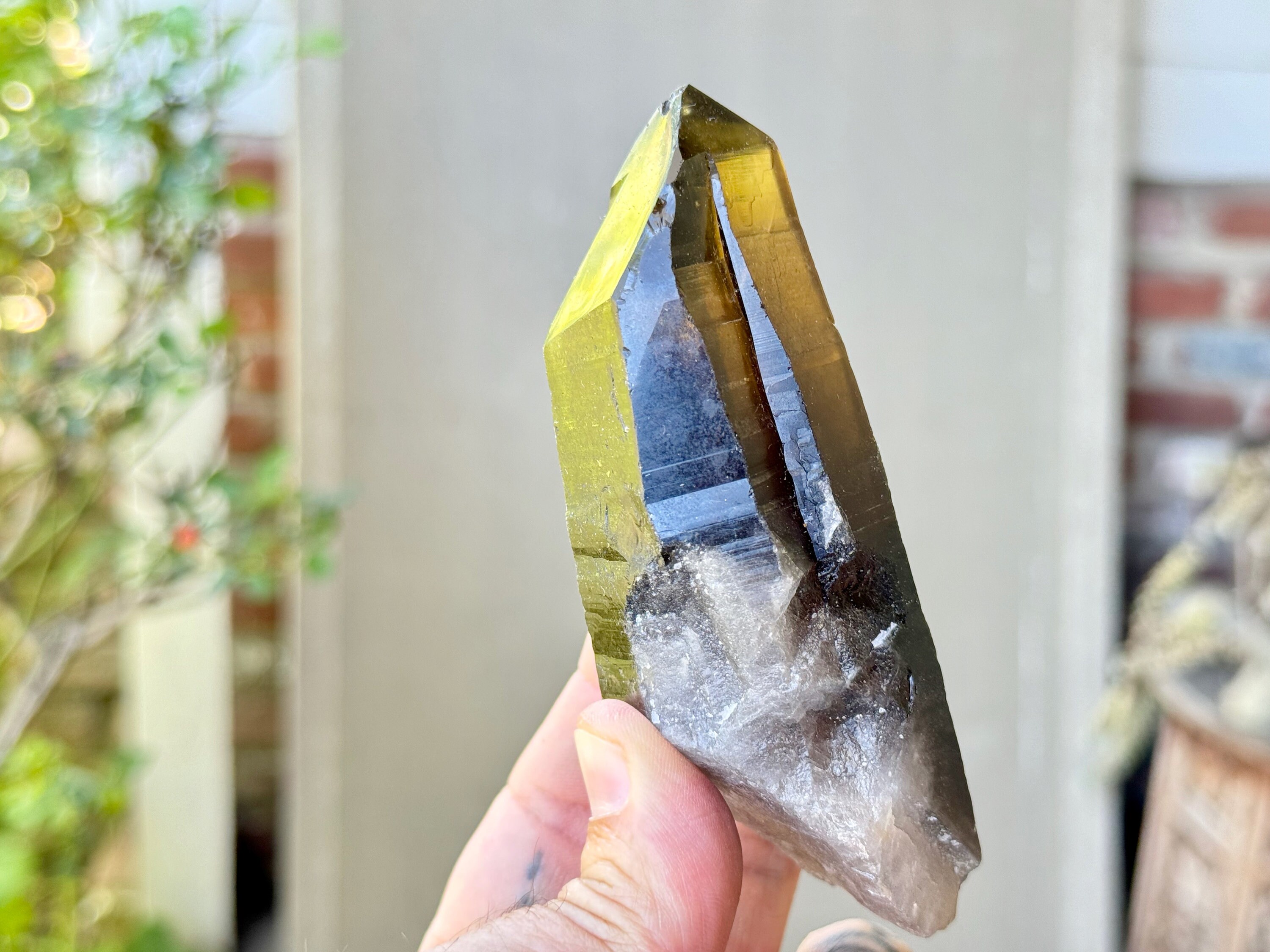 Shadow Healer Lemurian Quartz, New Find, Smoky Black Citrine Lemurian ...