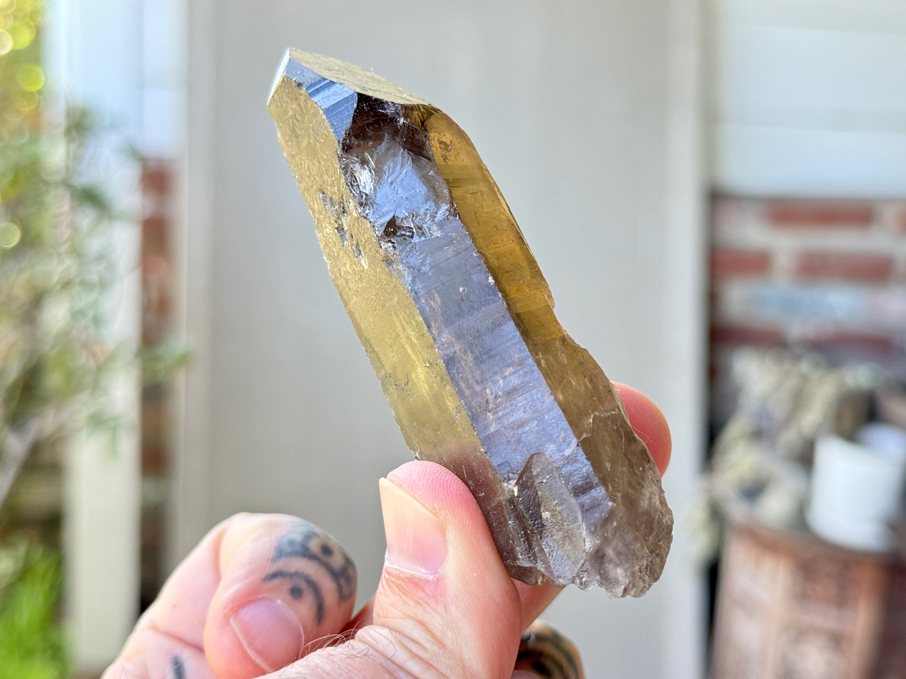 Shadow Healer Lemurian Quartz with Time Link, New Find, Smoky Black ...
