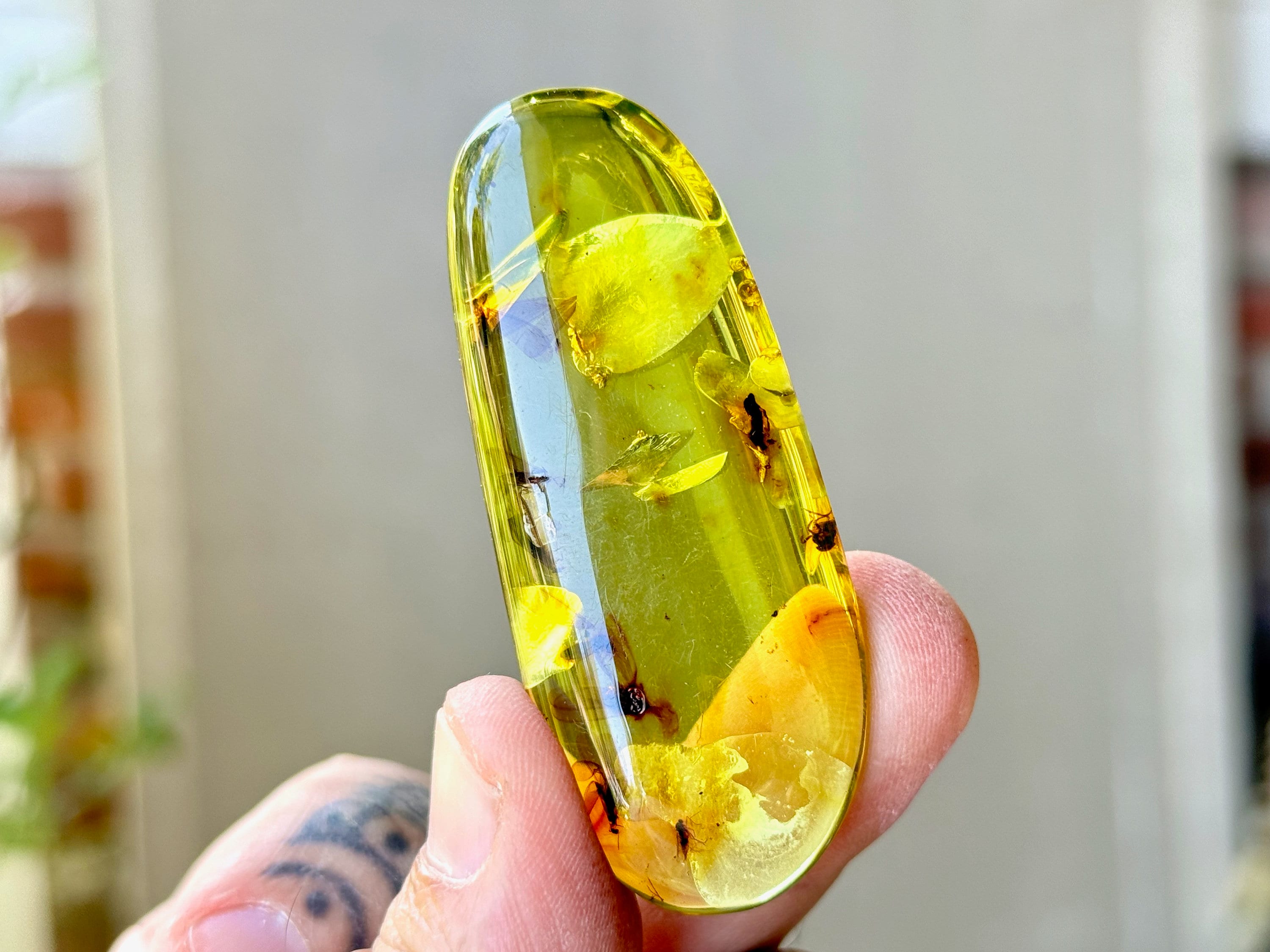 Rare Green Amber Copal Crystal with Fossilized Insects and Plant Matter ...