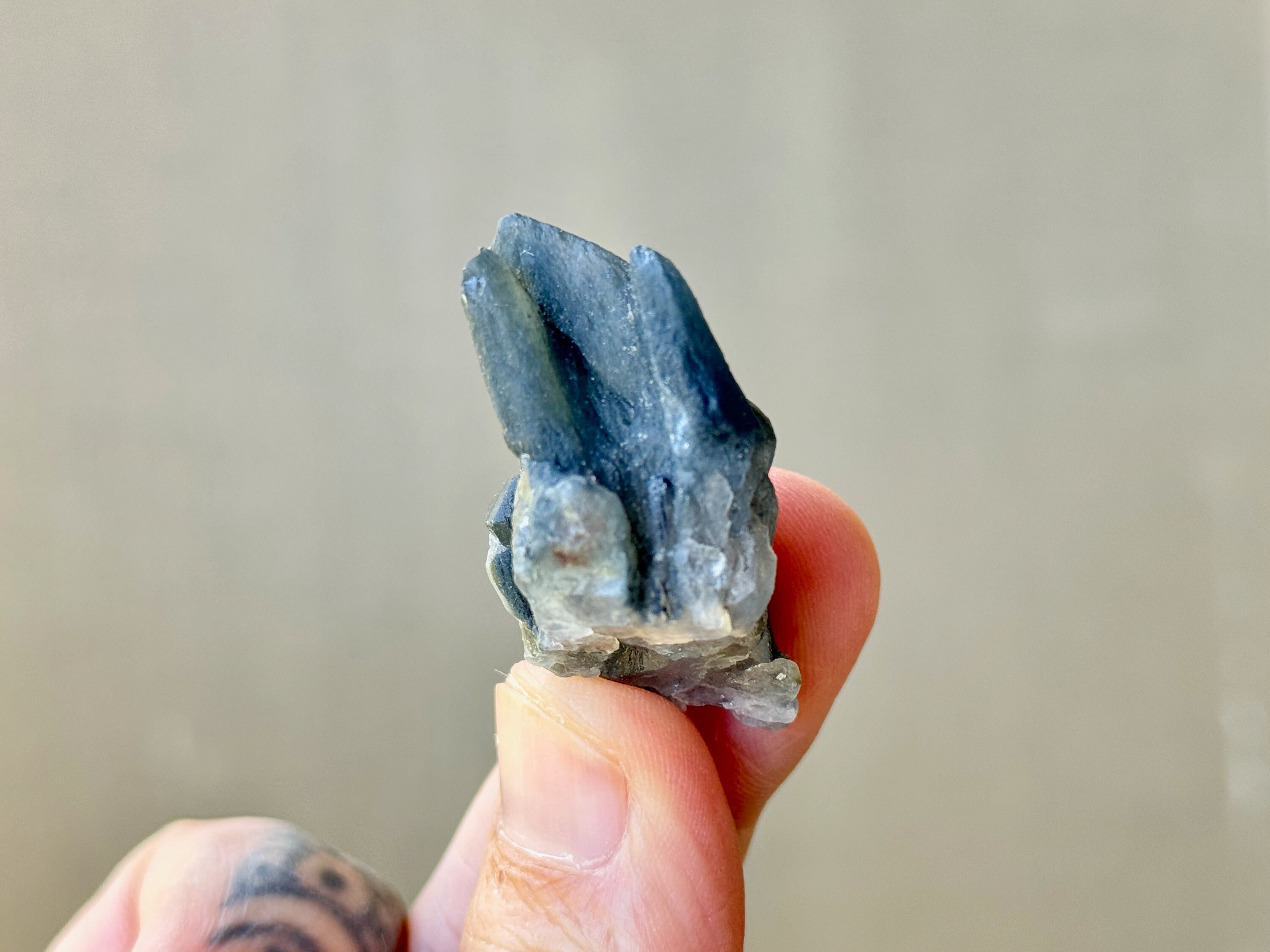 Blue Tara Quartz with Vibrant Blue Riebeckite Inclusions, New Find ...