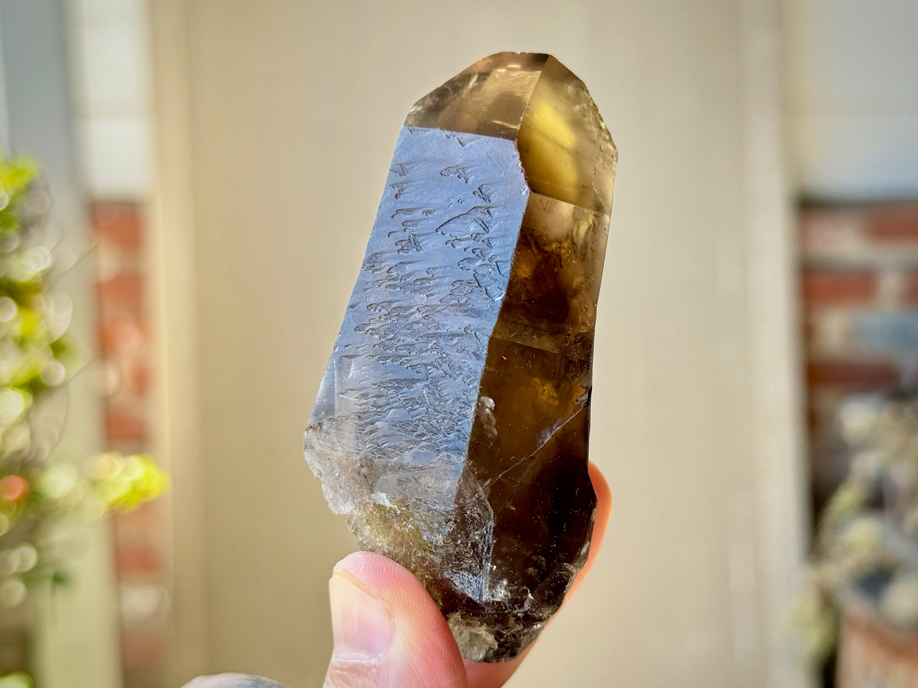 Shadow Healer Lemurian Quartz, New Find, Smoky Black Citrine Lemurian ...
