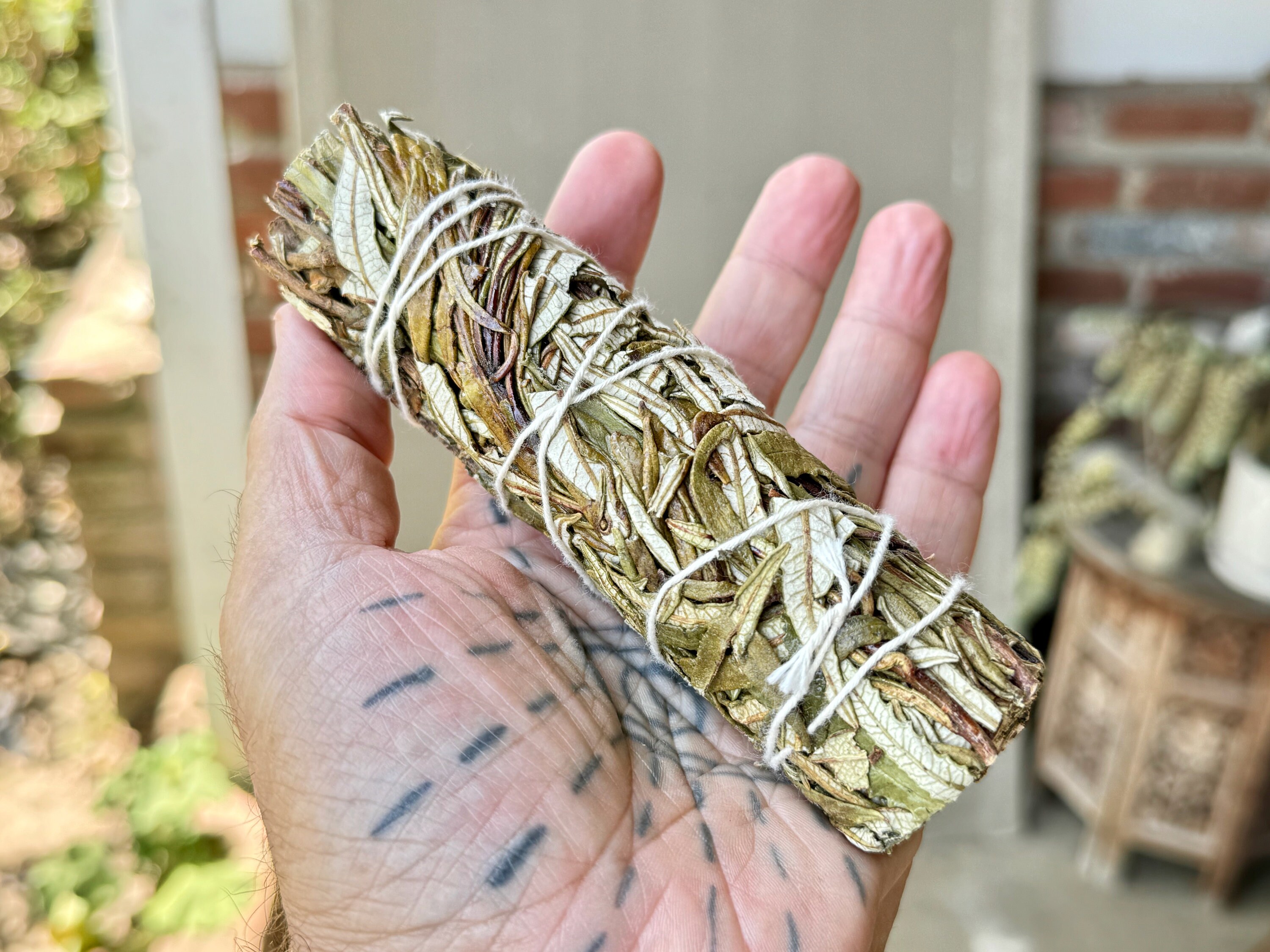 Yerba Santa Bundle, Large 5 Size, ONE Yerba Santa Smudge Stick, For ...