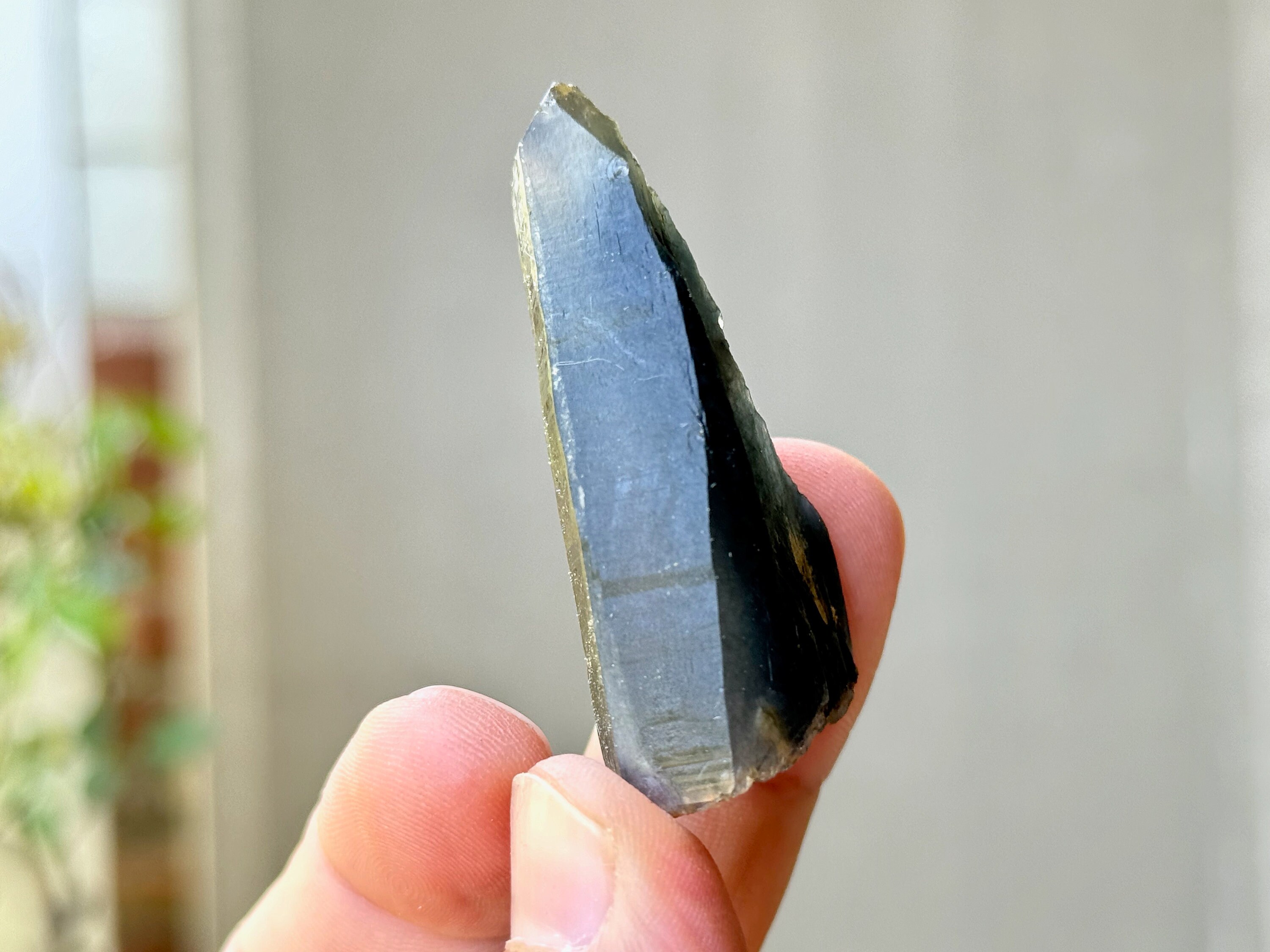 Blue Tara Nightshade Quartz with Vibrant Blue Riebeckite Inclusions ...