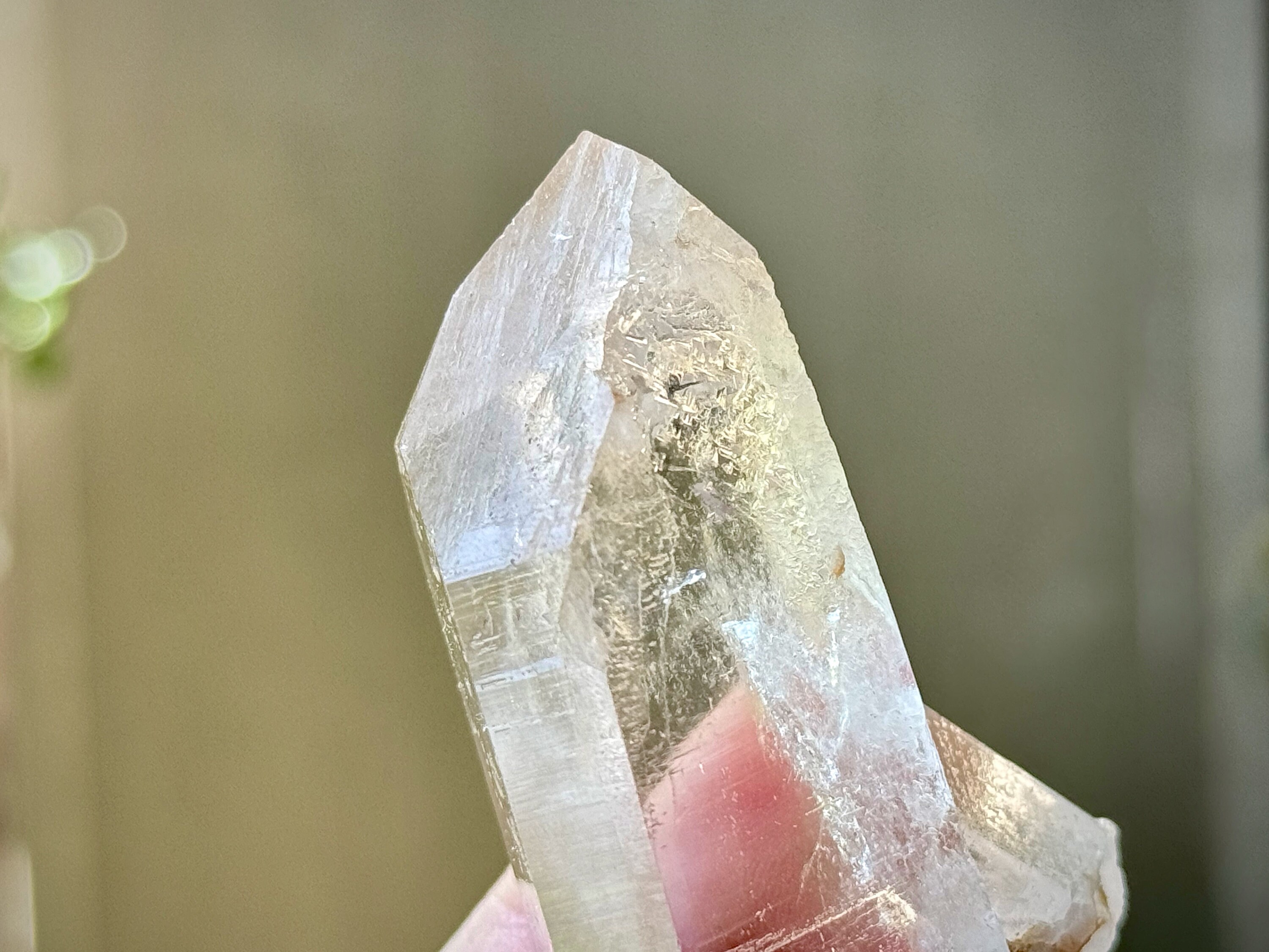 Starbrary Quartz, Channeling Formation with Penetrator, Water Clear ...